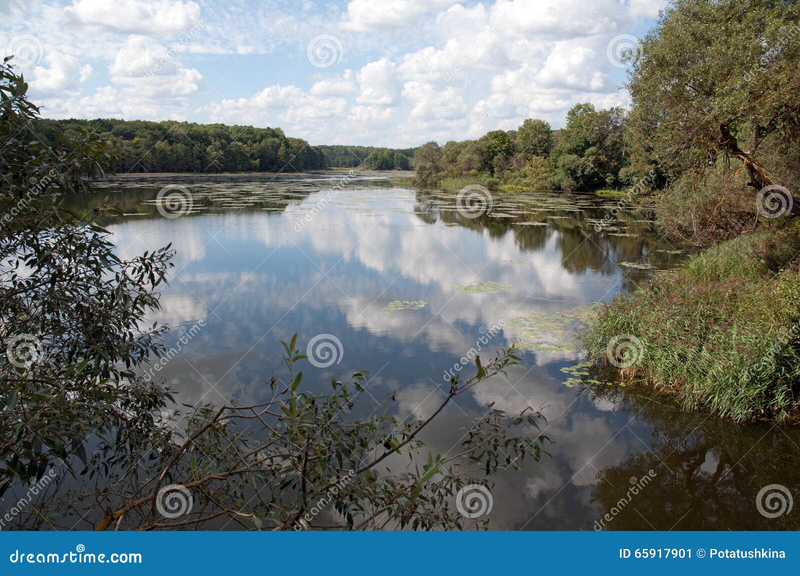 Lake Landscape of Central Russia Stock Image - Image of space, water ...