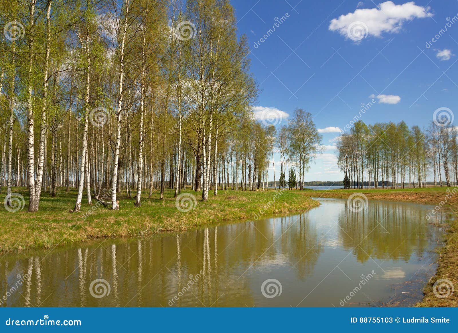 Lake landscape. stock image. Image of horizontal, river - 88755103