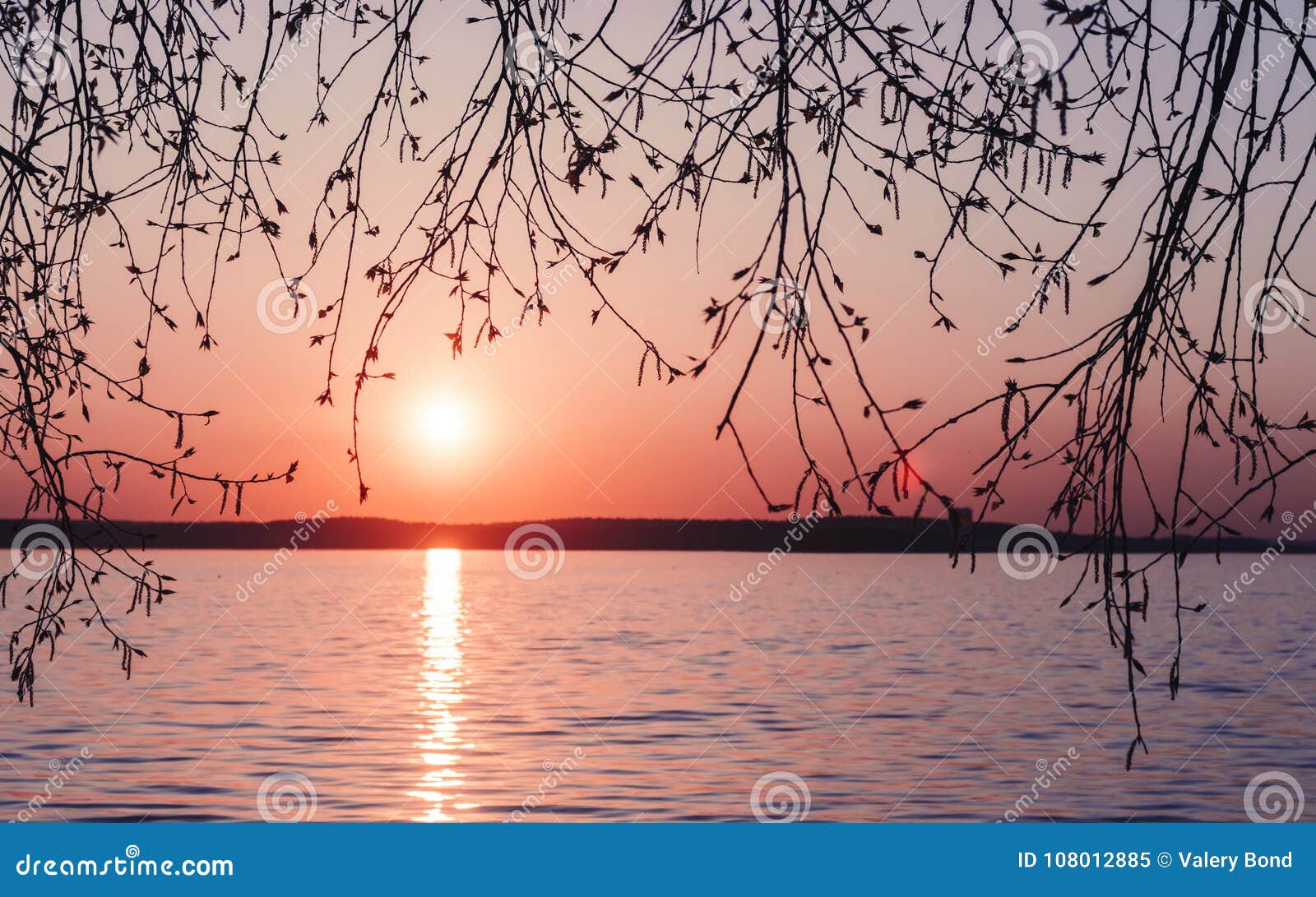 Sunset on Lake stock image. Image of forest, summer - 108012885
