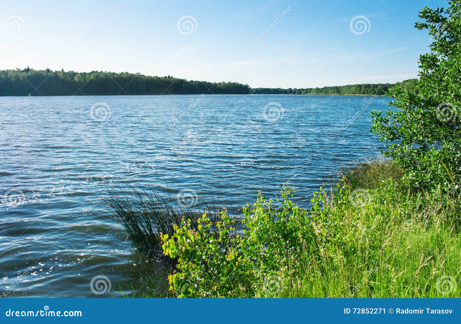 Lake landscape stock image. Image of calm, lake, environment - 72852271