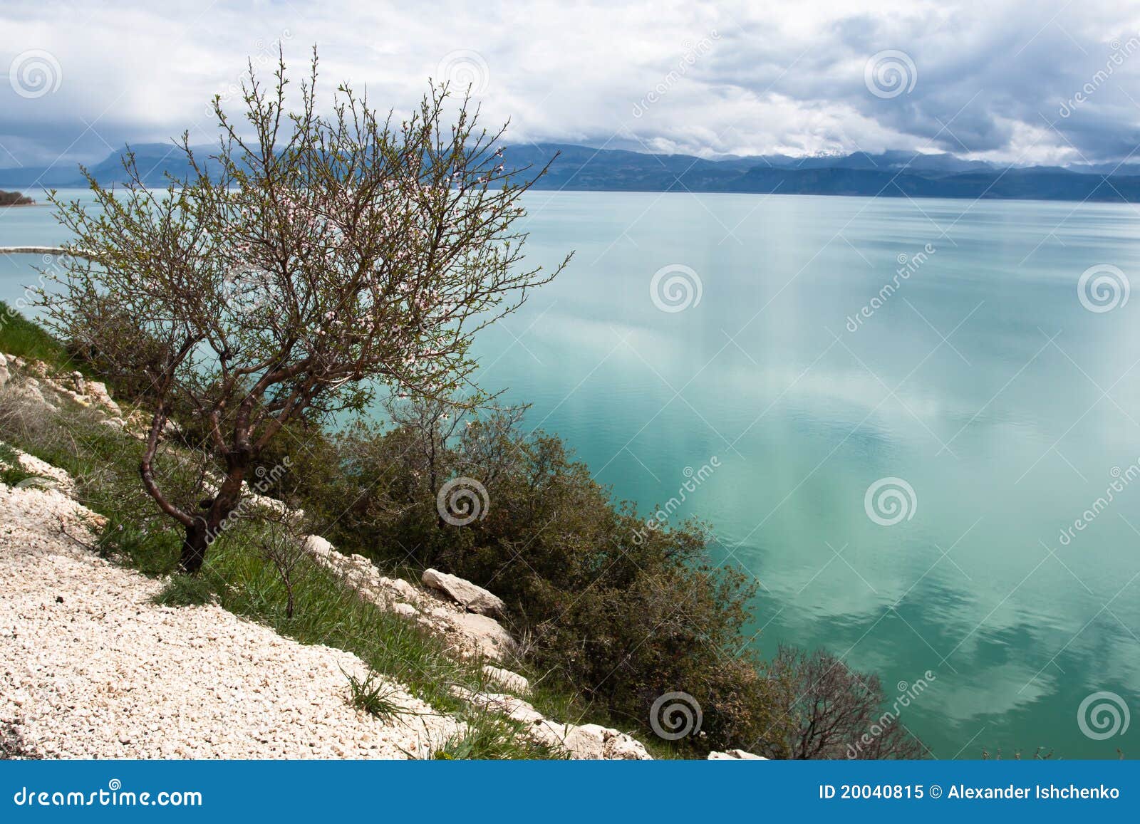 Lake landscape with tree. stock image. Image of river - 20040815