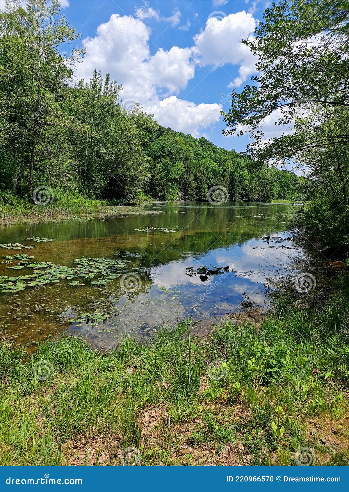 Lake of Life stock photo. Image of nature, lake, life - 220966570