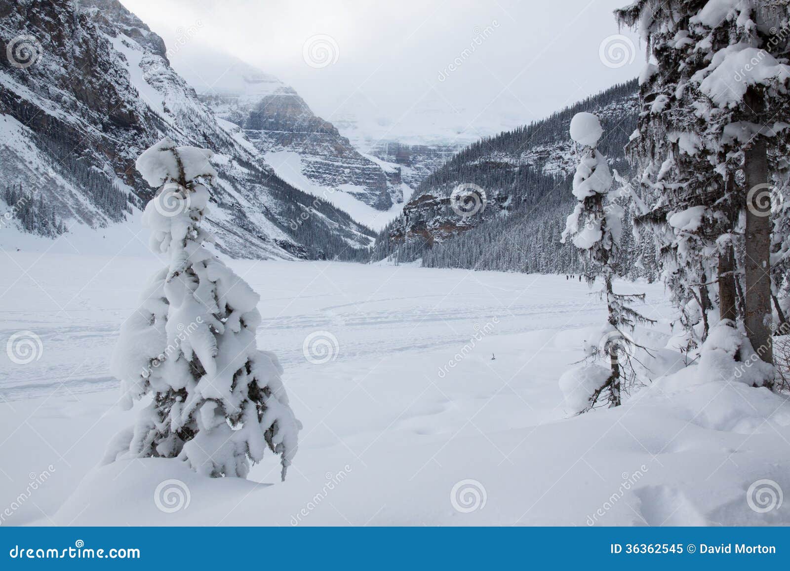 Lake Louise imagen de archivo. Imagen de yermo, cala - 36362545