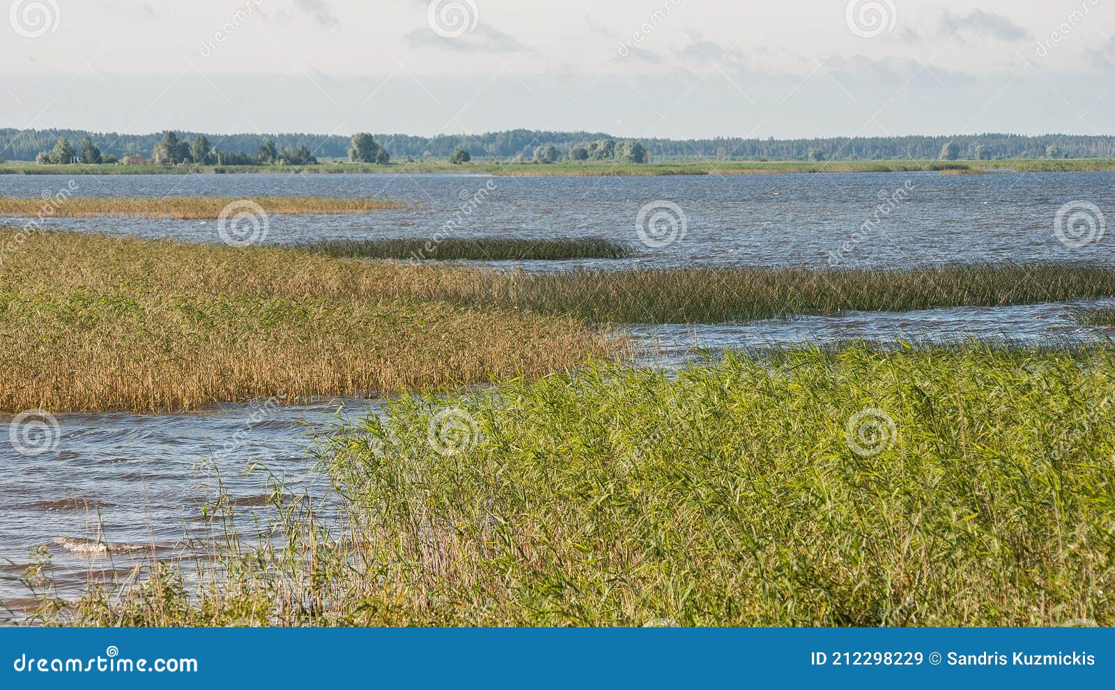 Lake Lubans, the Biggest Lake in Latvia Stock Image - Image of natural ...