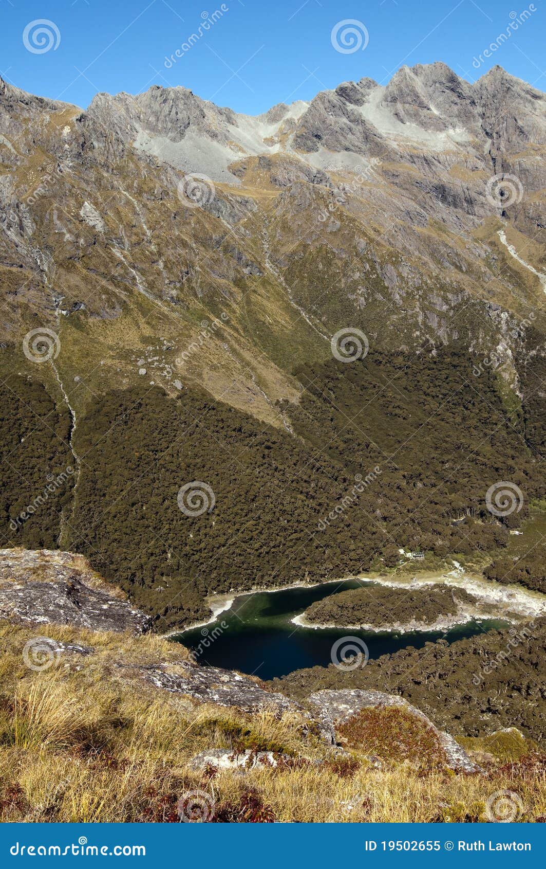 Lake Mackenzie - Routeburn Track Stock Image - Image of green, mountain ...