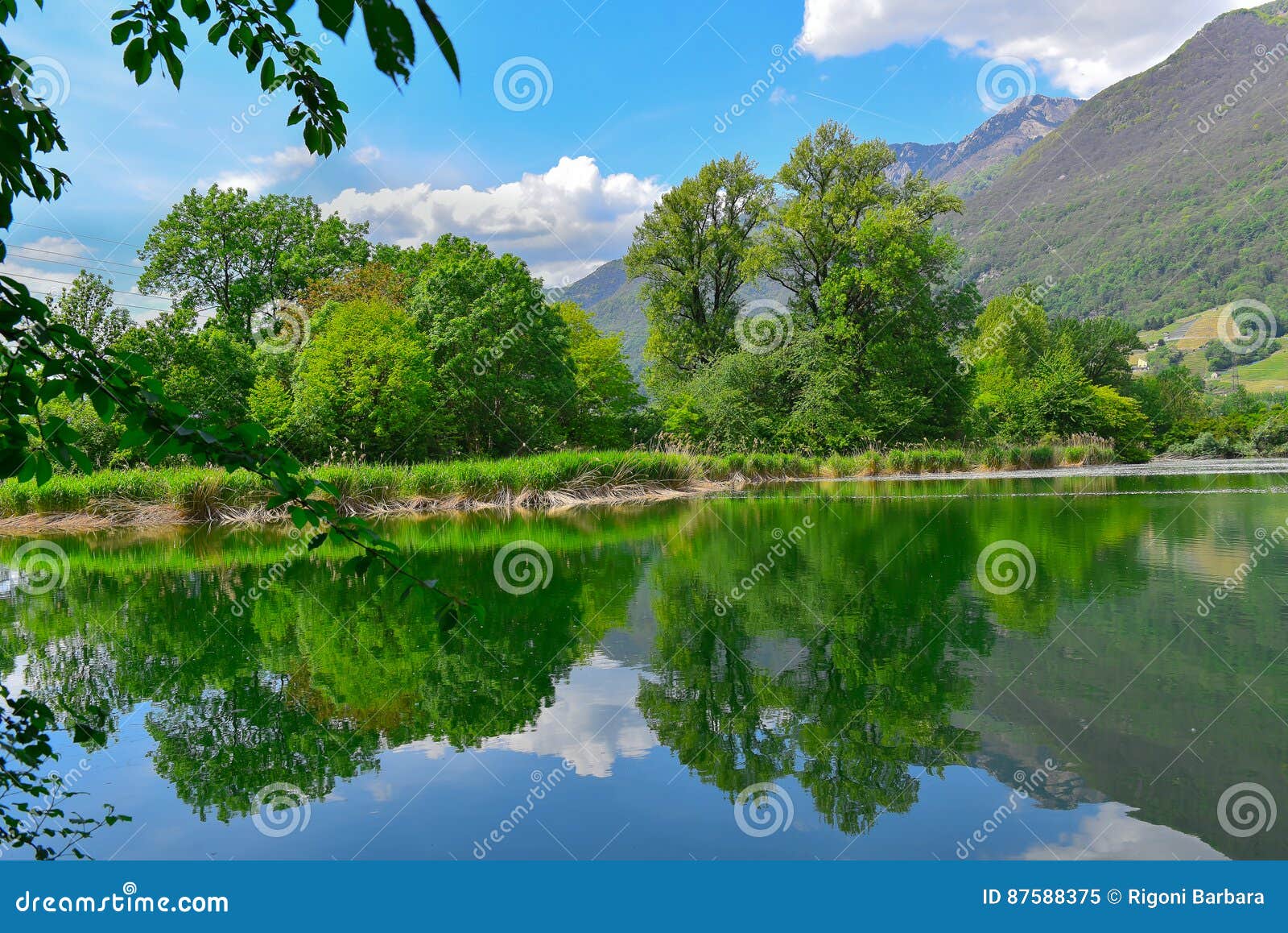 Lake in the Marsh in Spring Stock Image - Image of swamp, nature: 87588375