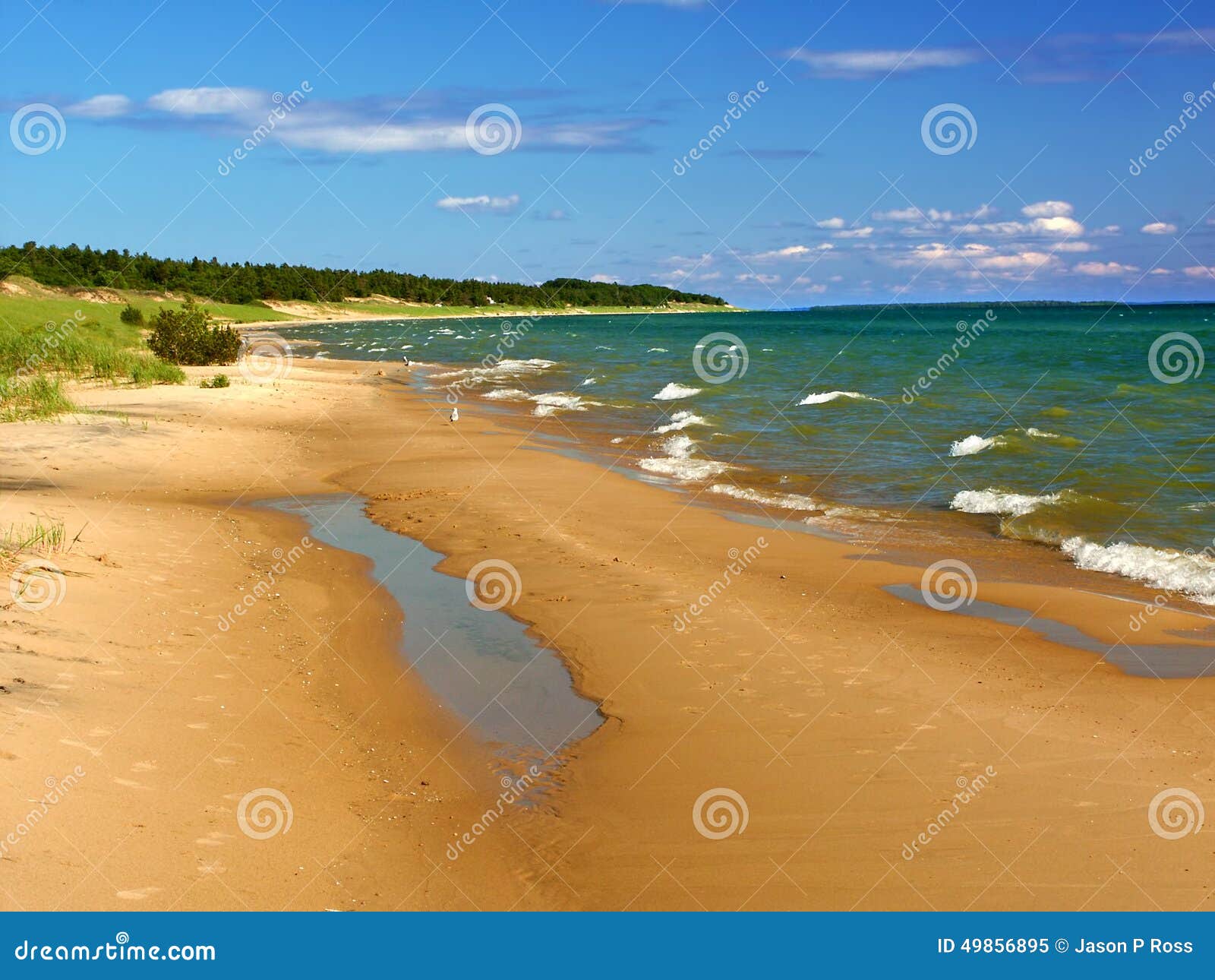 Lake Michigan Beach Landscape Stock Image - Image of beautiful, natural ...