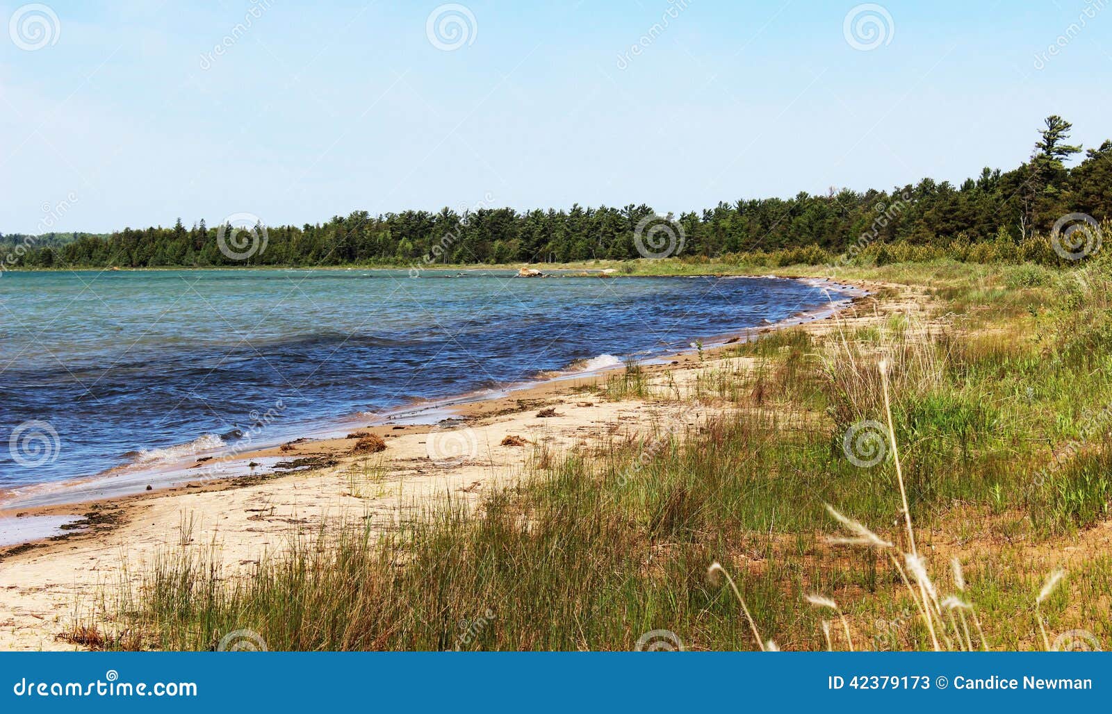 Lake Michigan Coast stock image. Image of shore, coast - 42379173