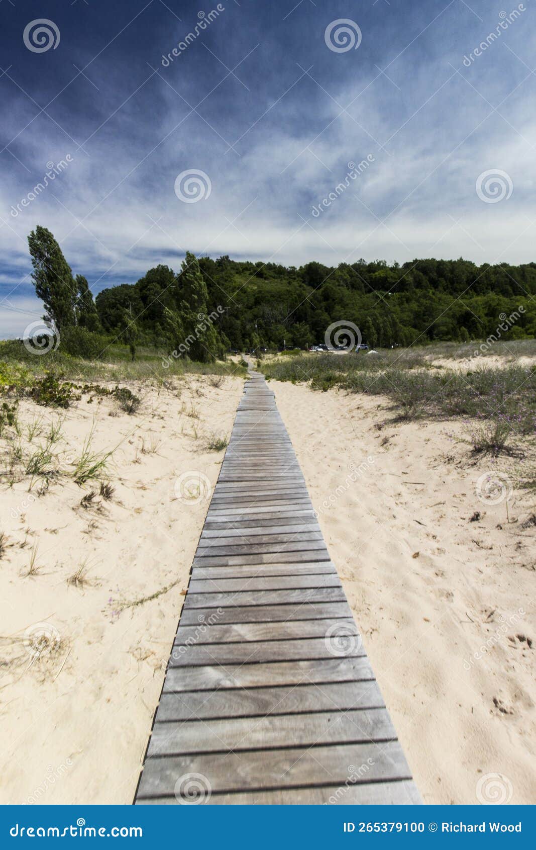Elberta Beach, Frankfort, Michigan in Summer Stock Photo - Image of ...