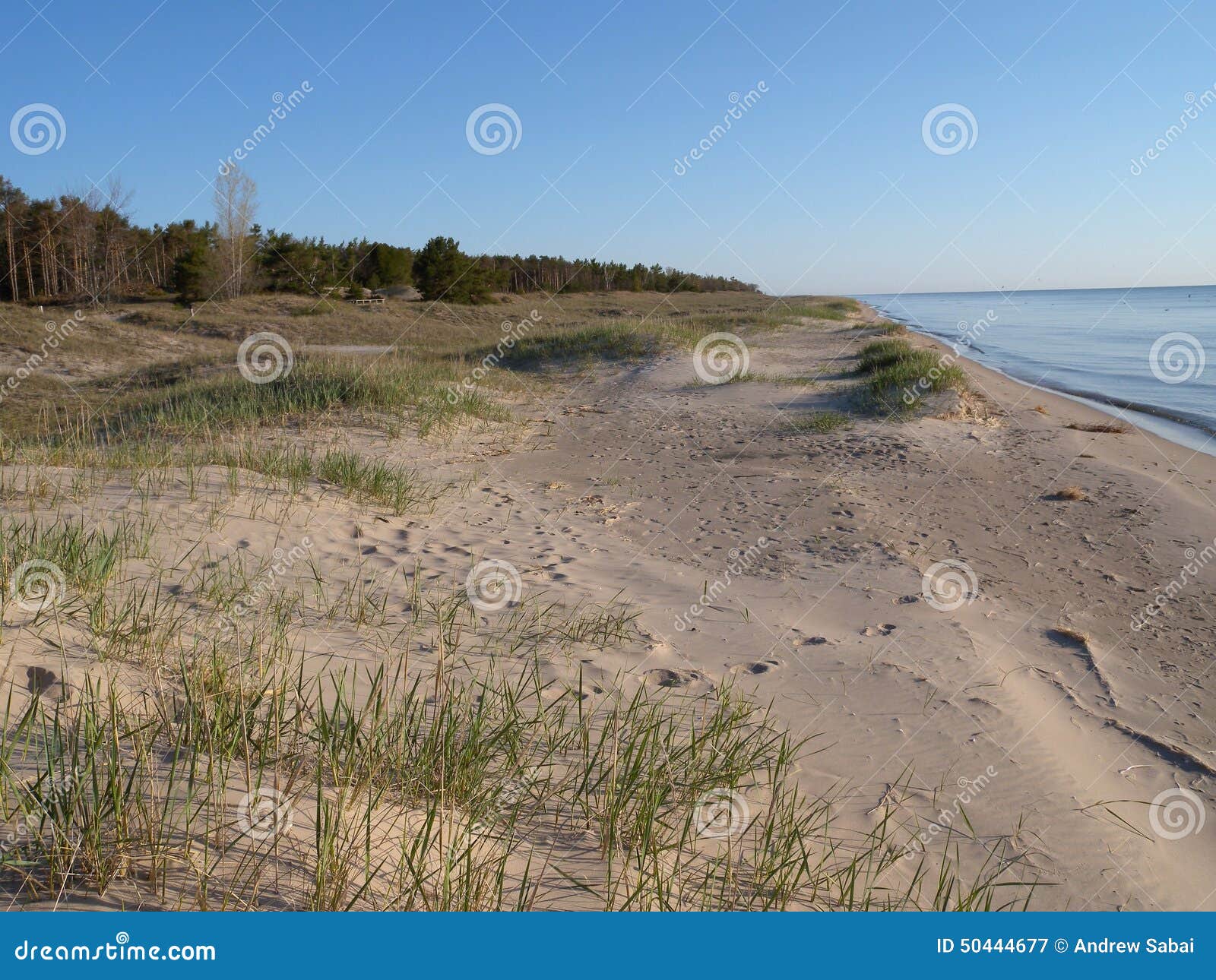 Lake Michigan Sand Dunes stock image. Image of shore - 50444677