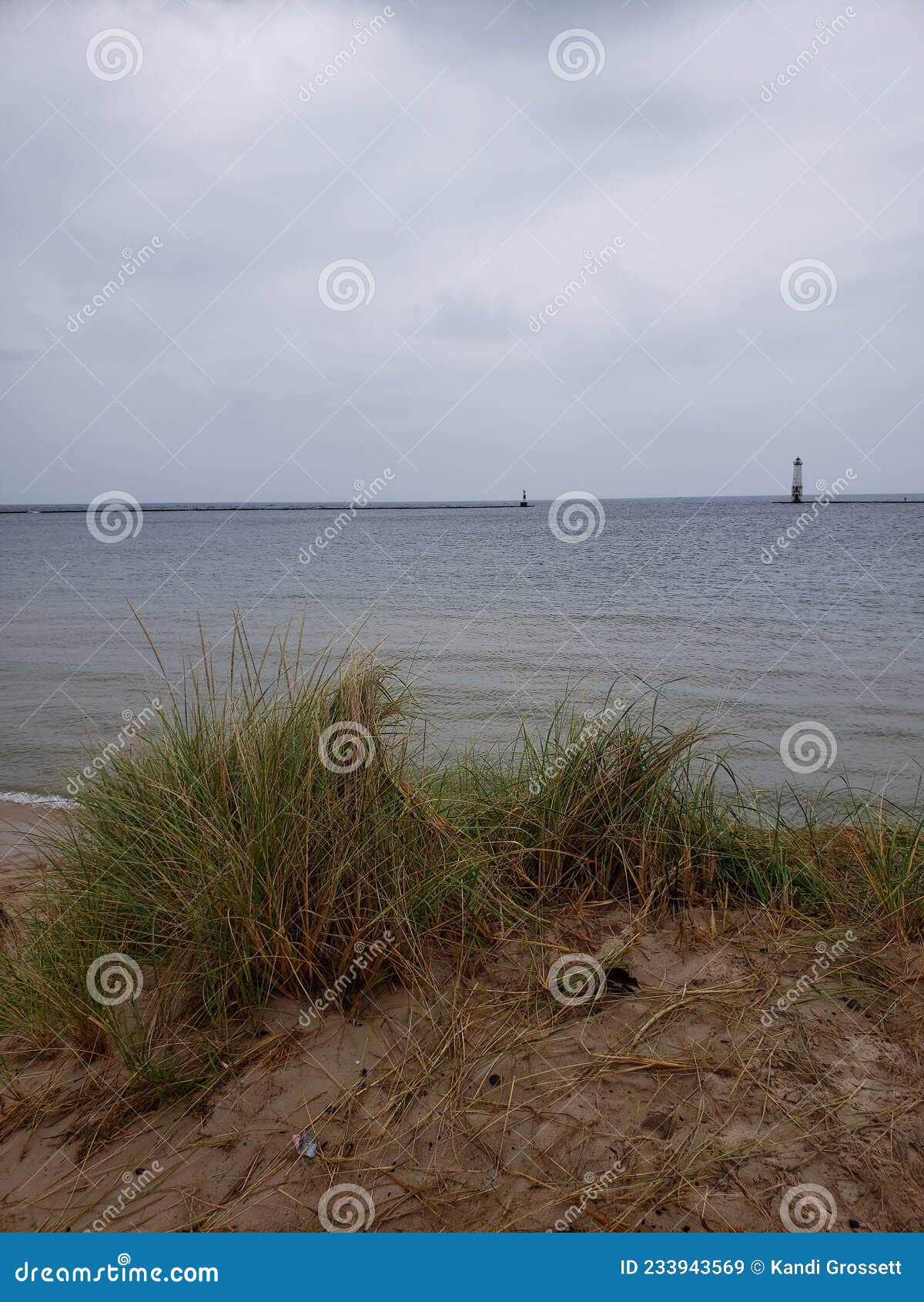 Lake Michigan View stock image. Image of marsh, michigan - 233943569