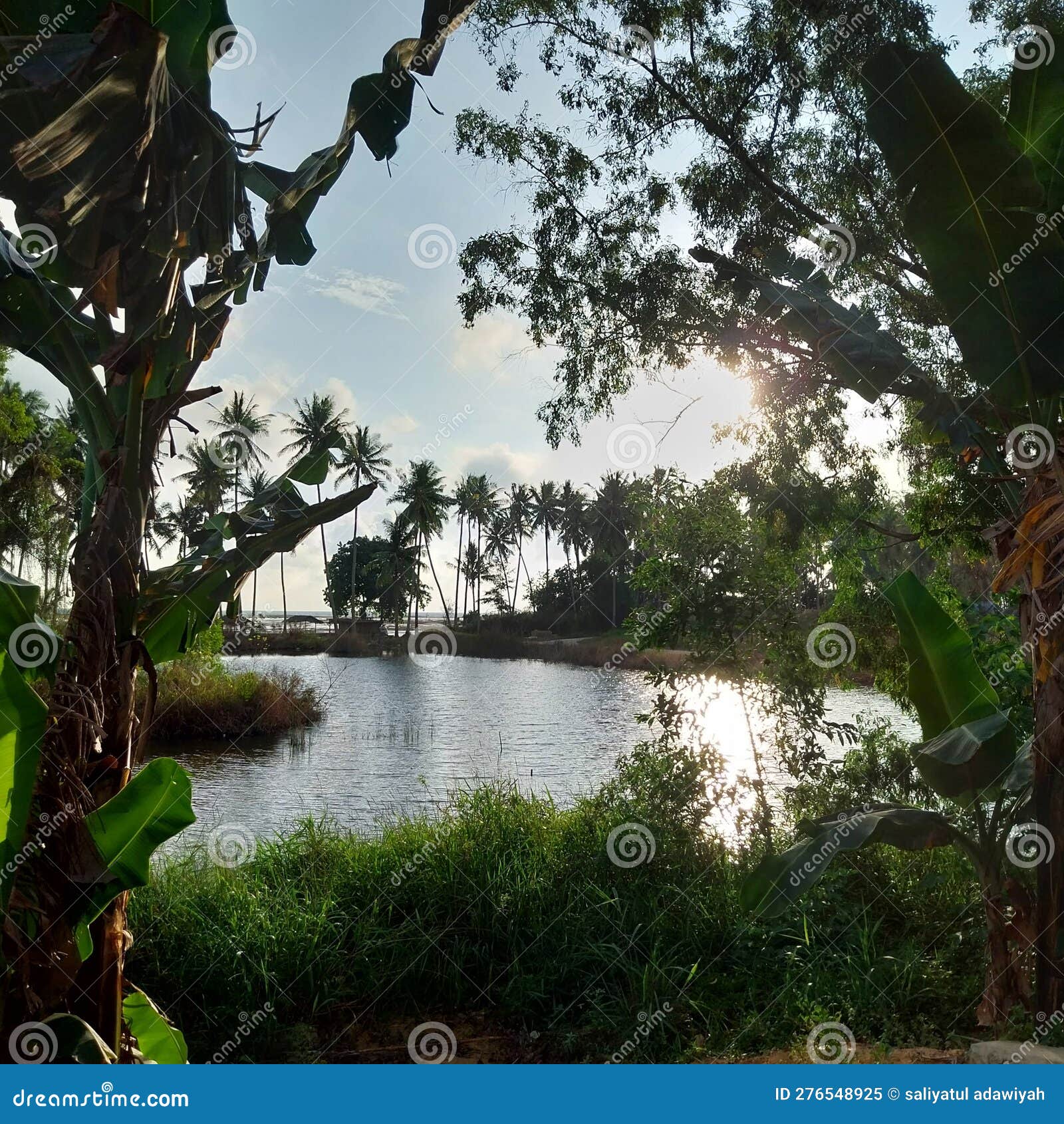 Lake in the Middle of the Forest in Batam Island Indonesia Stock Image ...