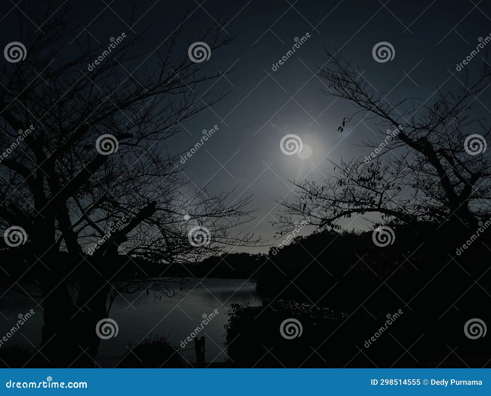 Lake with moonlight stock image. Image of beautiful - 298514555