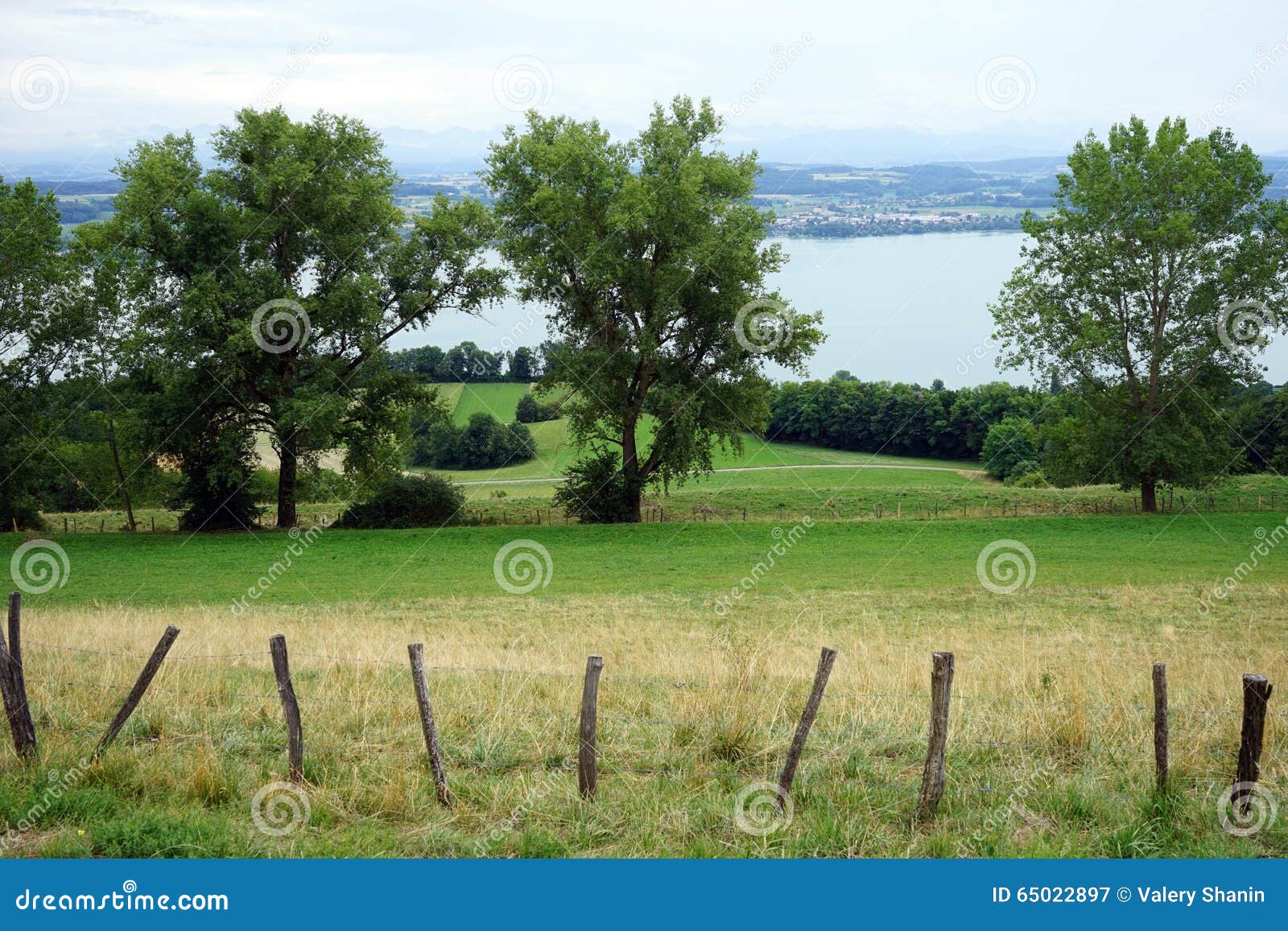 Lake Morat stock image. Image of slope, view, nature - 65022897