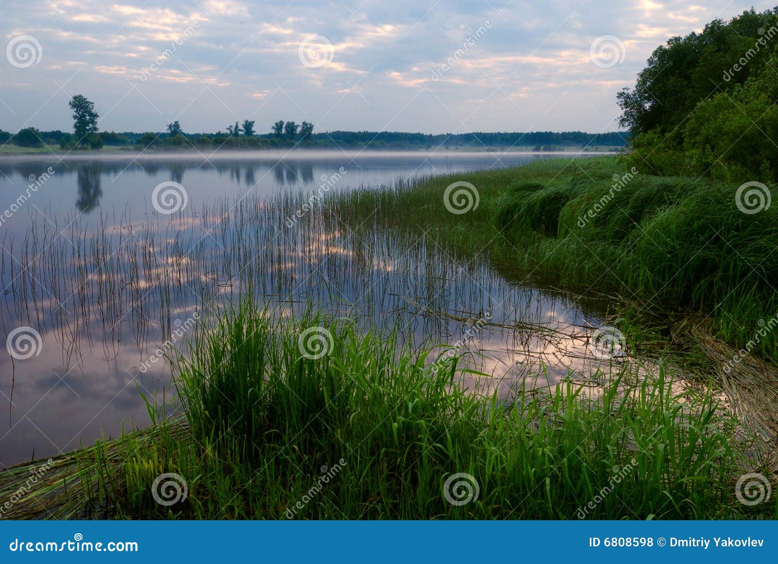 Lake in the morning stock photo. Image of scene, morning - 6808598