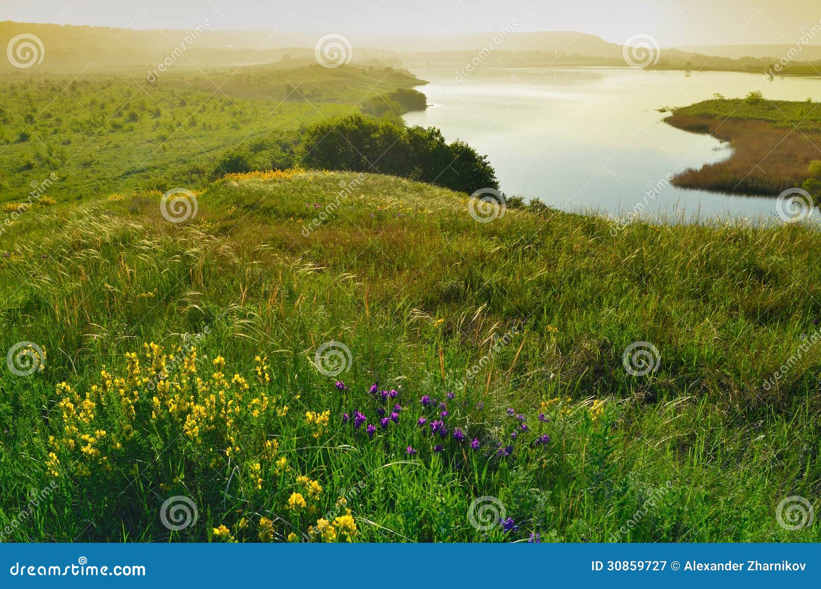 About lake stock image. Image of ecology, spring, view - 30859727