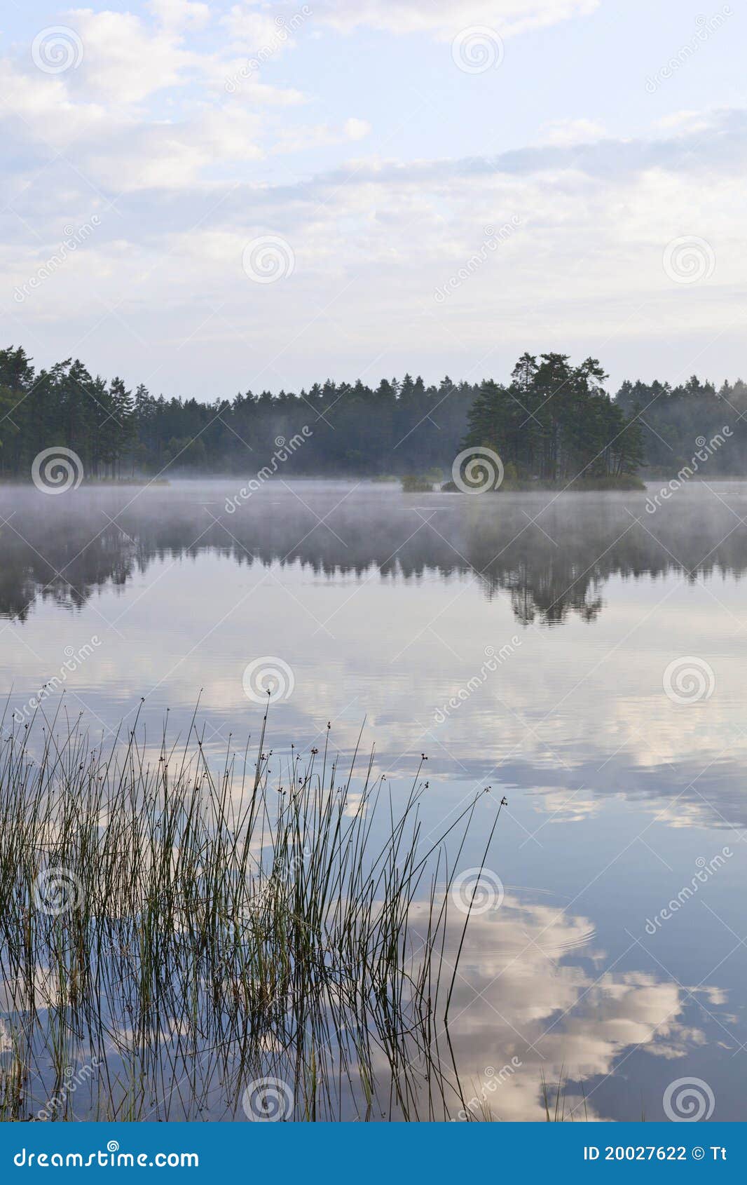 Lake with morning mist stock photo. Image of landscapes - 20027622