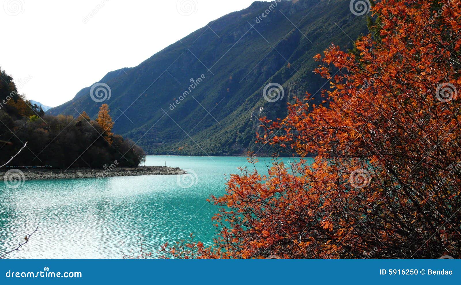 Lake,mountain and Forest stock photo. Image of china, nature - 5916250