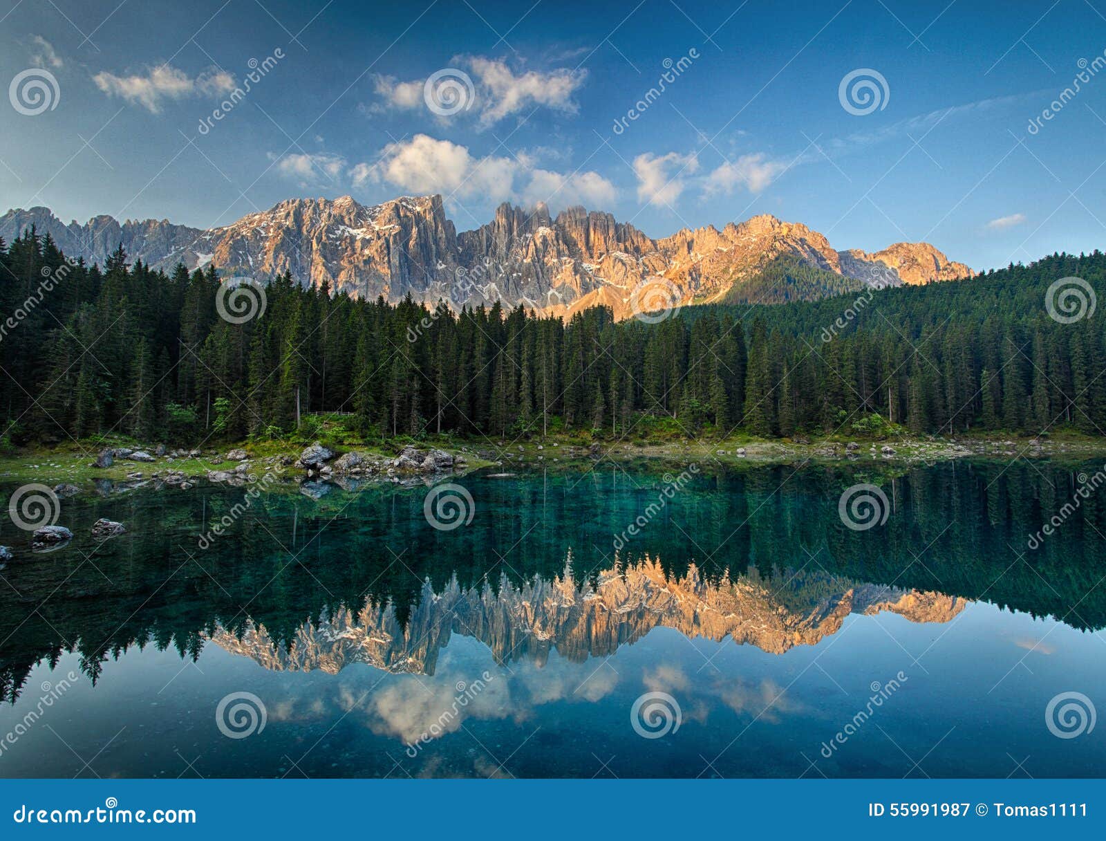 Lake And Forest Landscape Beautiful Greenery And Trees Inside Lake ...
