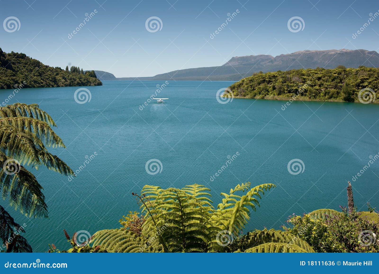 Lake & Mountain - Tarawera Stock Photo - Image of rotorua, scenery ...