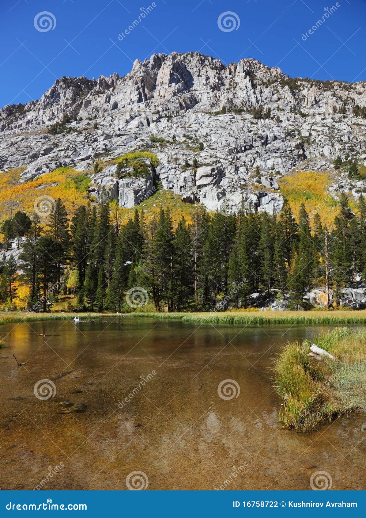 Lake in the Mountains with Grassy Banks Stock Photo - Image of solitude ...