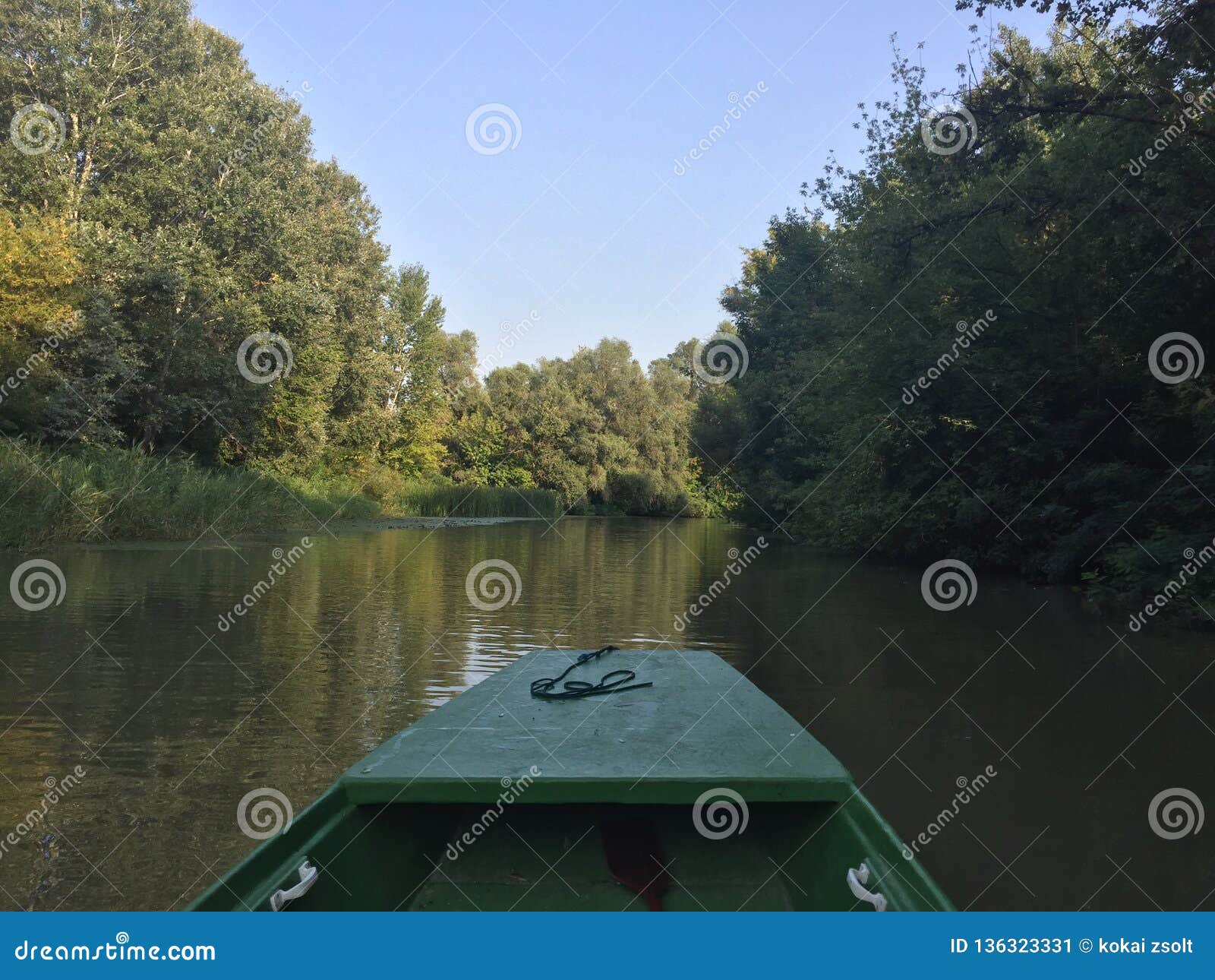 Lake nature boat stock image. Image of forest, nature - 136323331