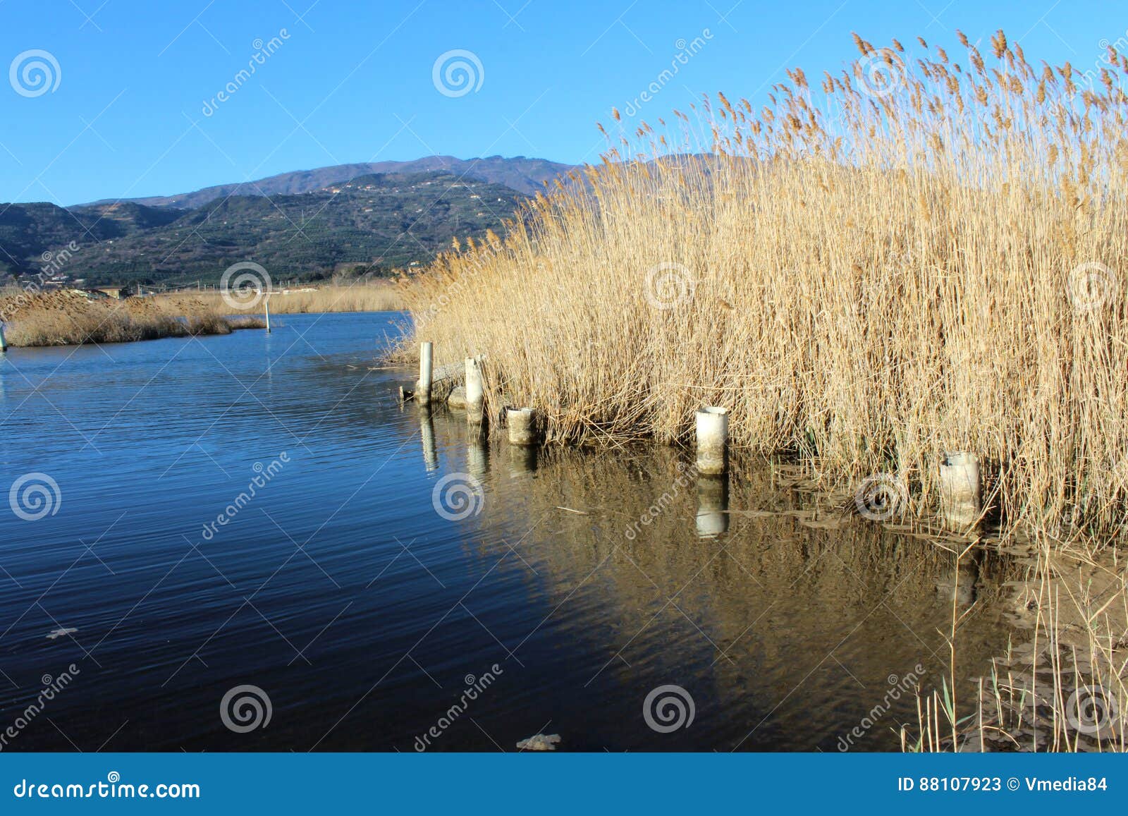 Lake, Nature And Water Surface, Wild Scene And Mountains Royalty-Free ...