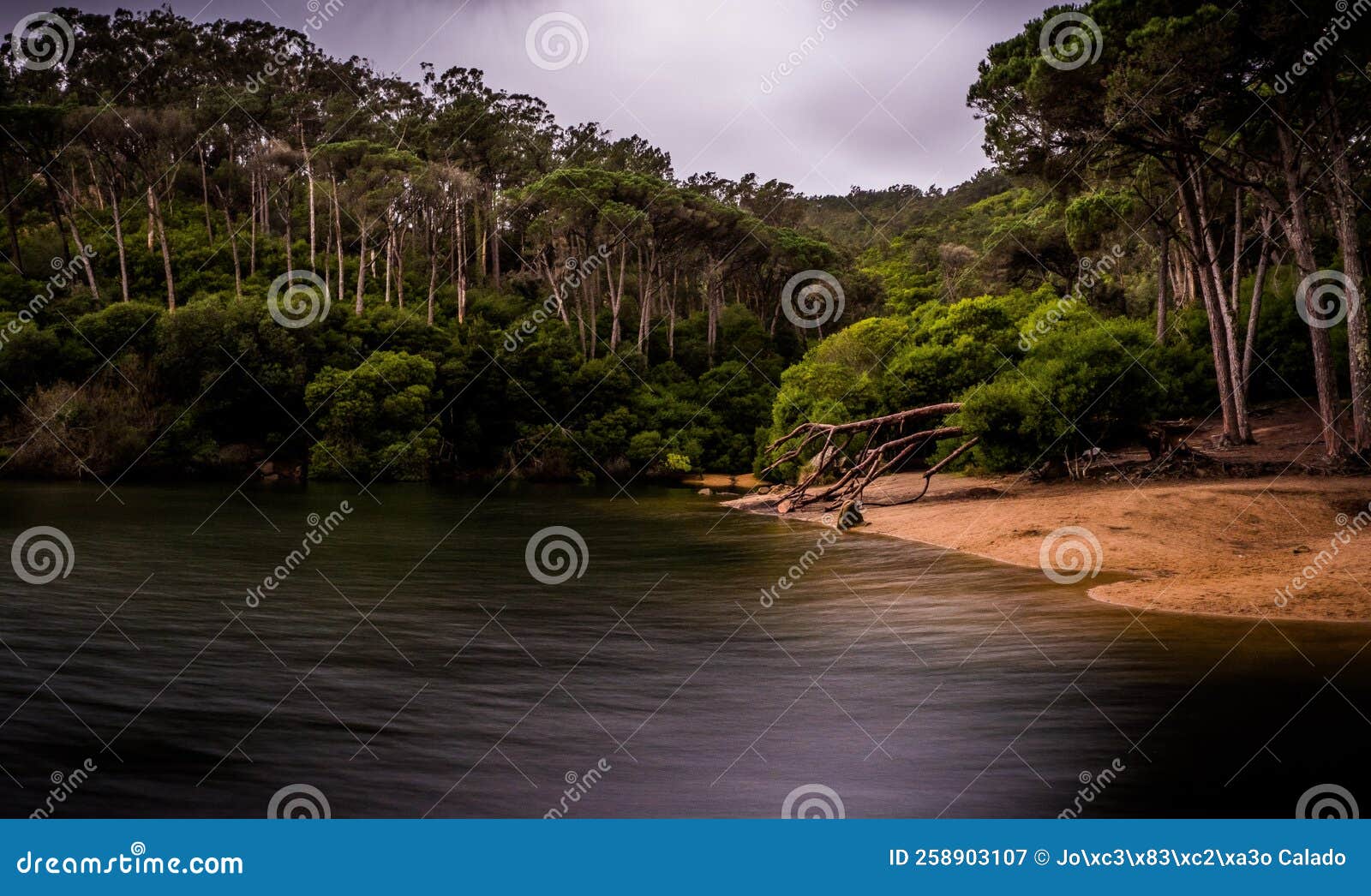 Lake, Nature, Water, Trees, Sand, Clouds, Landscape Stock Image - Image ...