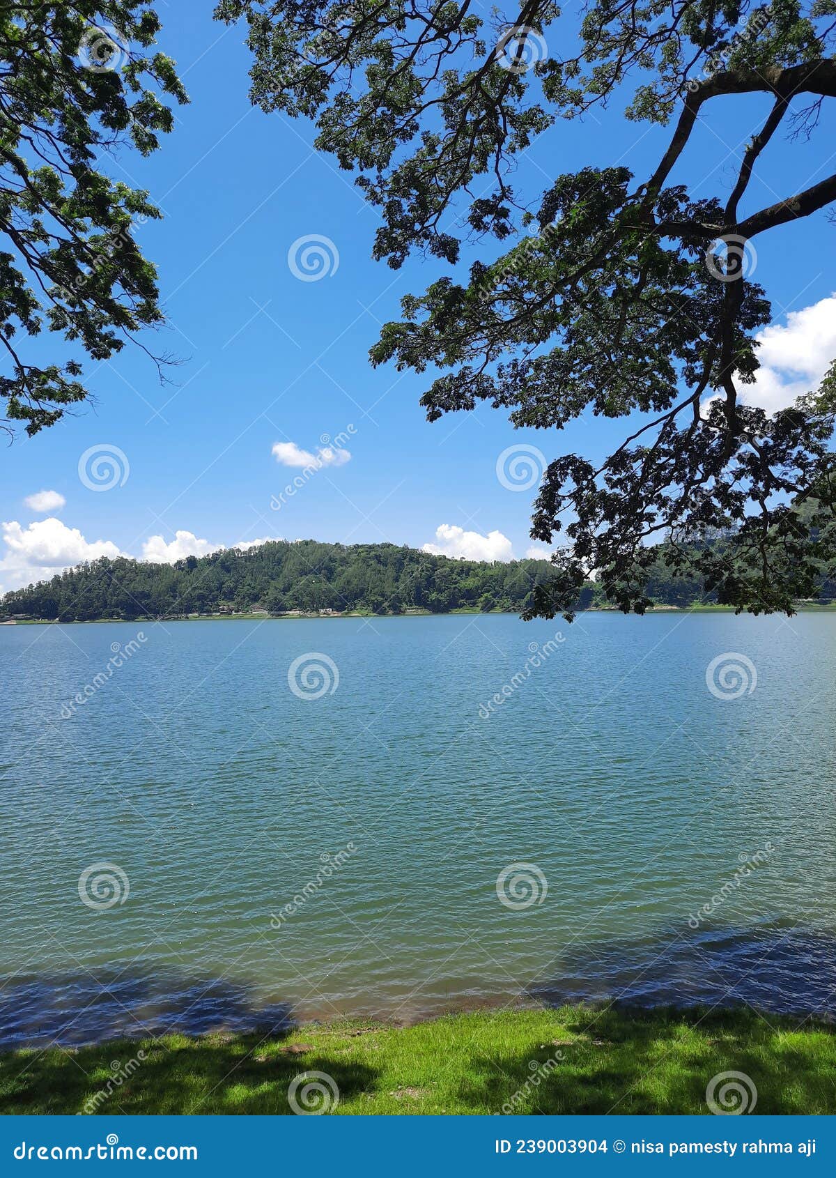 Lake ngebel stock photo. Image of indonesia, located - 239003904