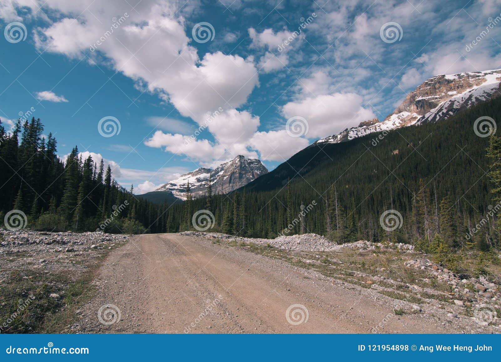 Lake O`Hara fire road stock photo. Image of park, pine - 121954898