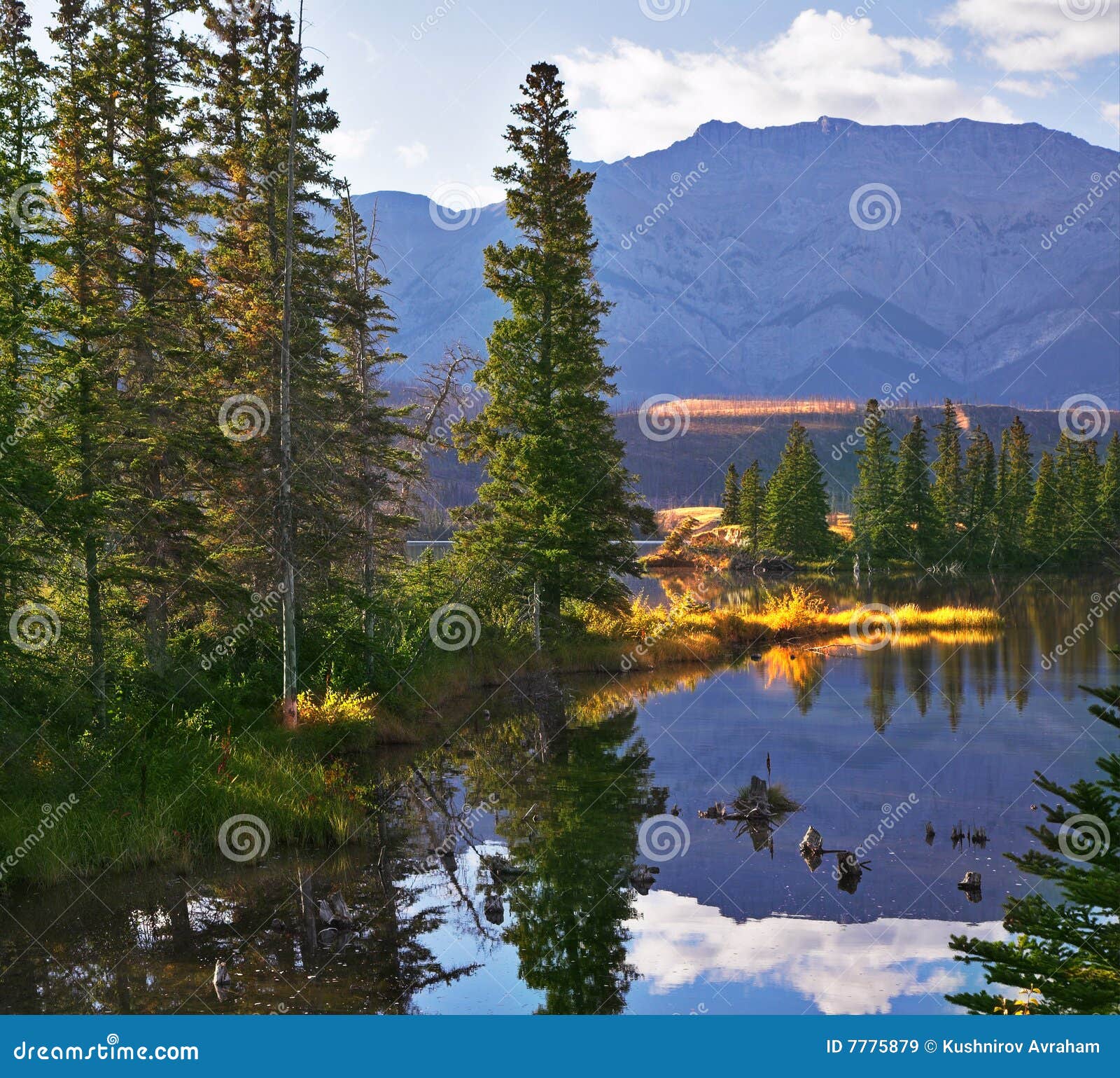 Lake in one fine morning stock image. Image of background - 7775879