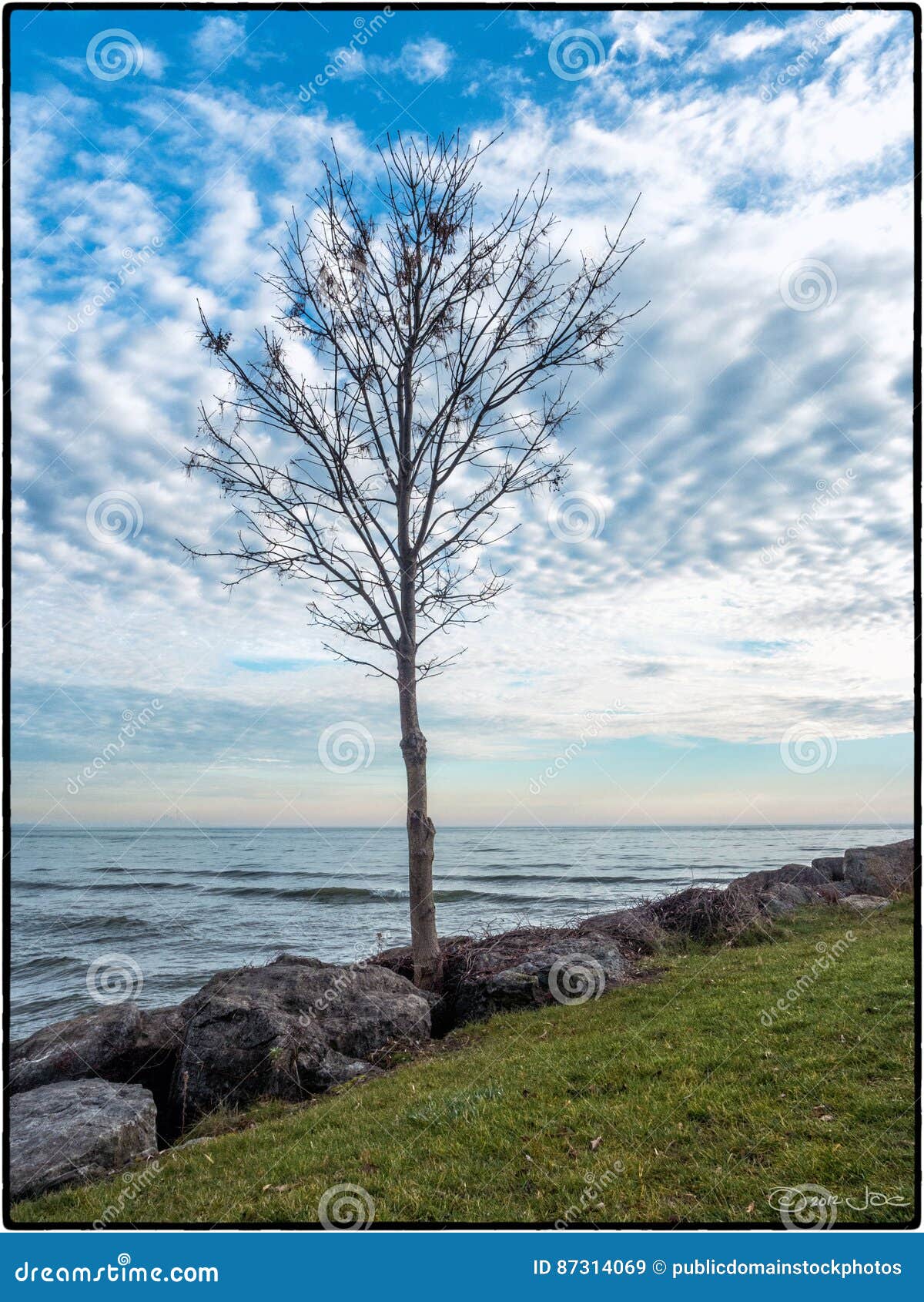 Lake Ontario Shoreline Picture. Image: 87314069
