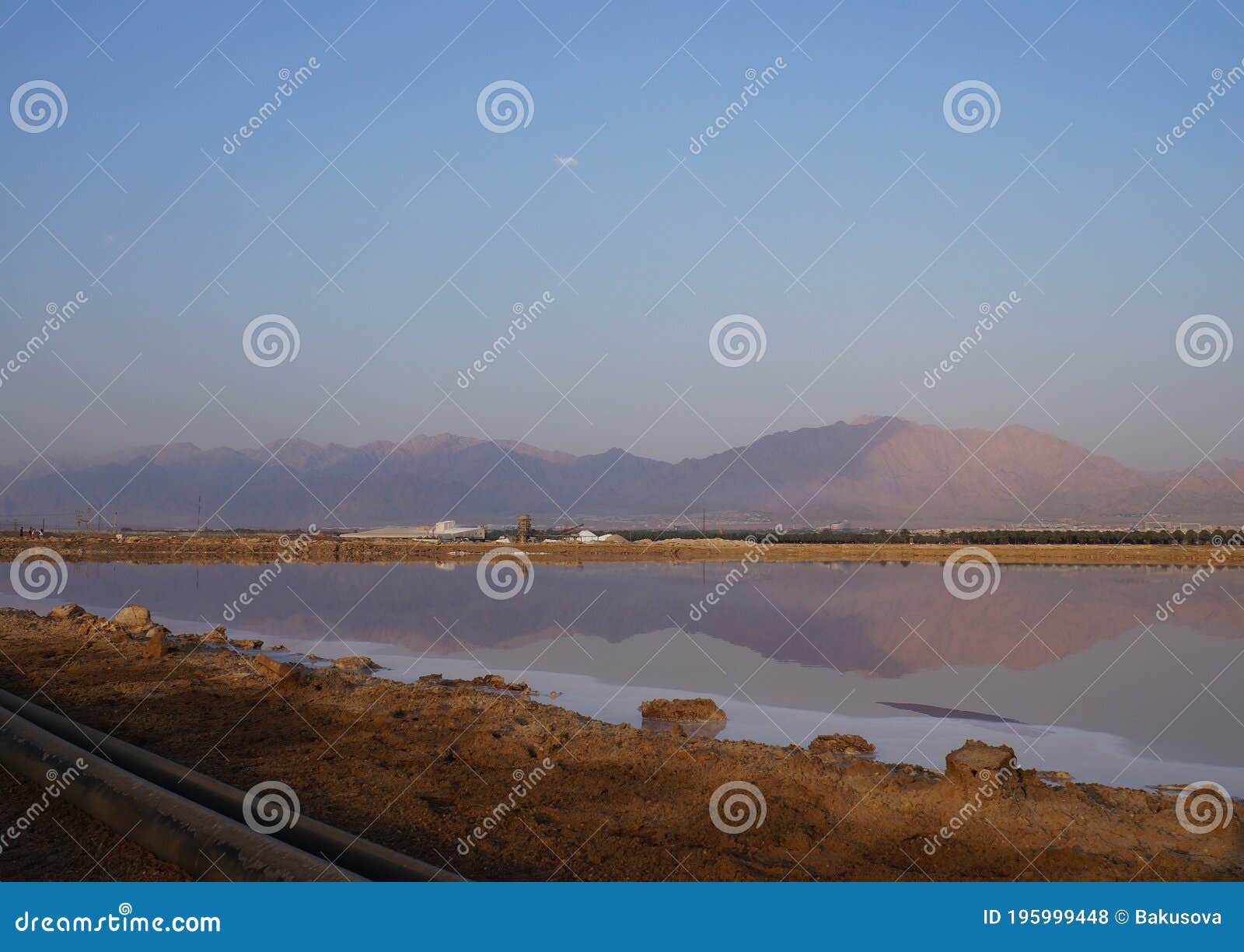 Lake in the Ornithological Park in Early Dusk, Selective Focus Stock ...