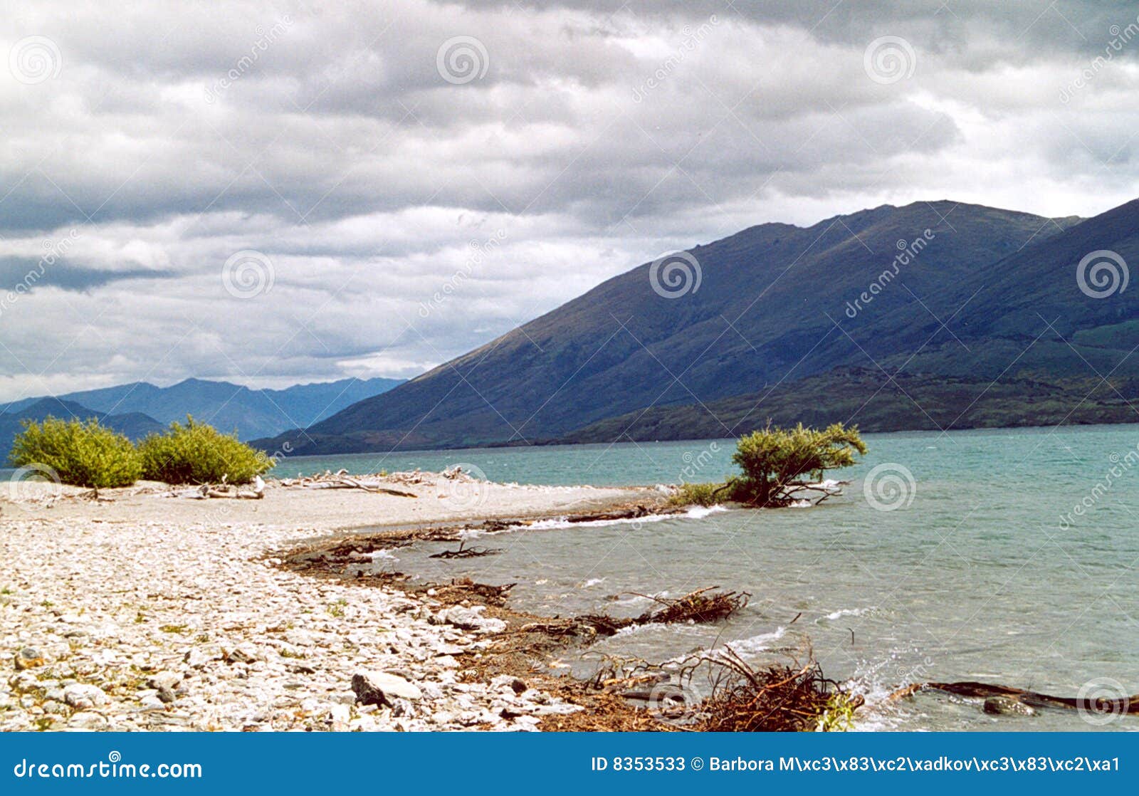 Lake Paringa stock image. Image of wave, bank, tree, nature - 8353533