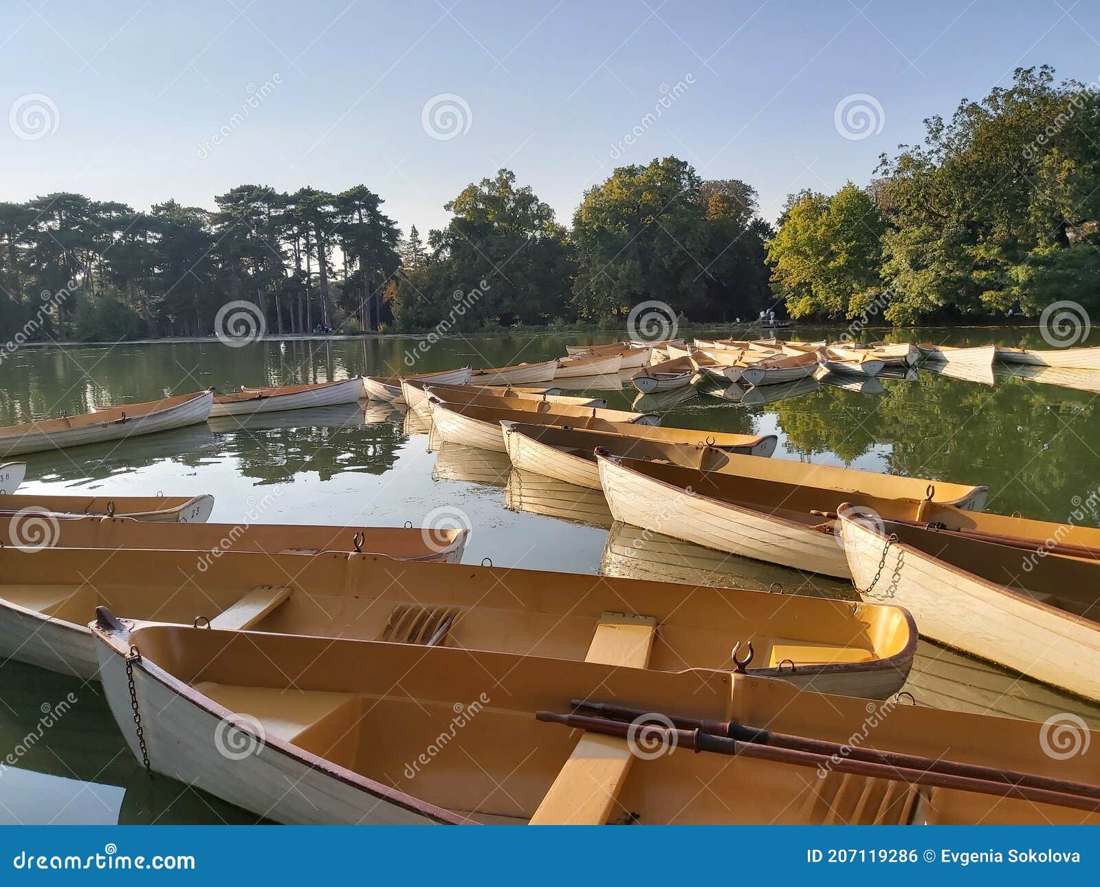 Lake in Paris stock photo. Image of reservoir, boating - 207119286
