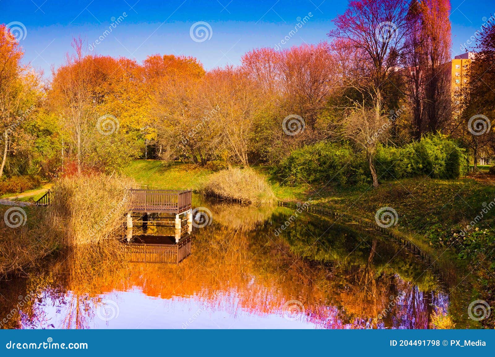 Lake in Park - Fall Foliage, Warsaw, Poland Stock Photo - Image of ...