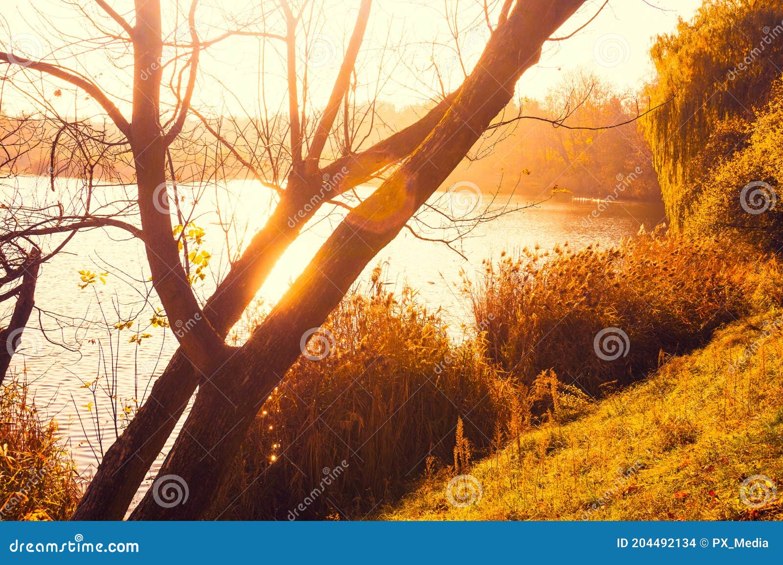 Lake in Park - Fall Foliage, Warsaw, Poland Stock Photo - Image of ...
