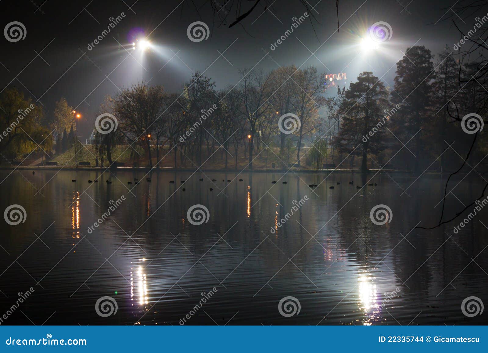Lake park by night stock photo. Image of lake, luminescence - 22335744