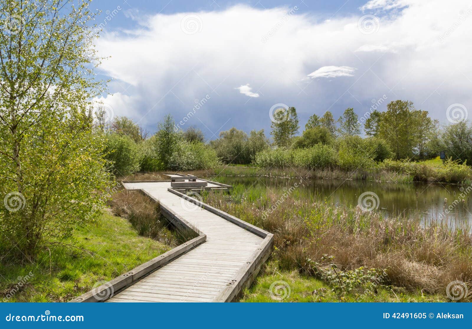 Lake path. stock image. Image of footbridge, road, smooth - 42491605
