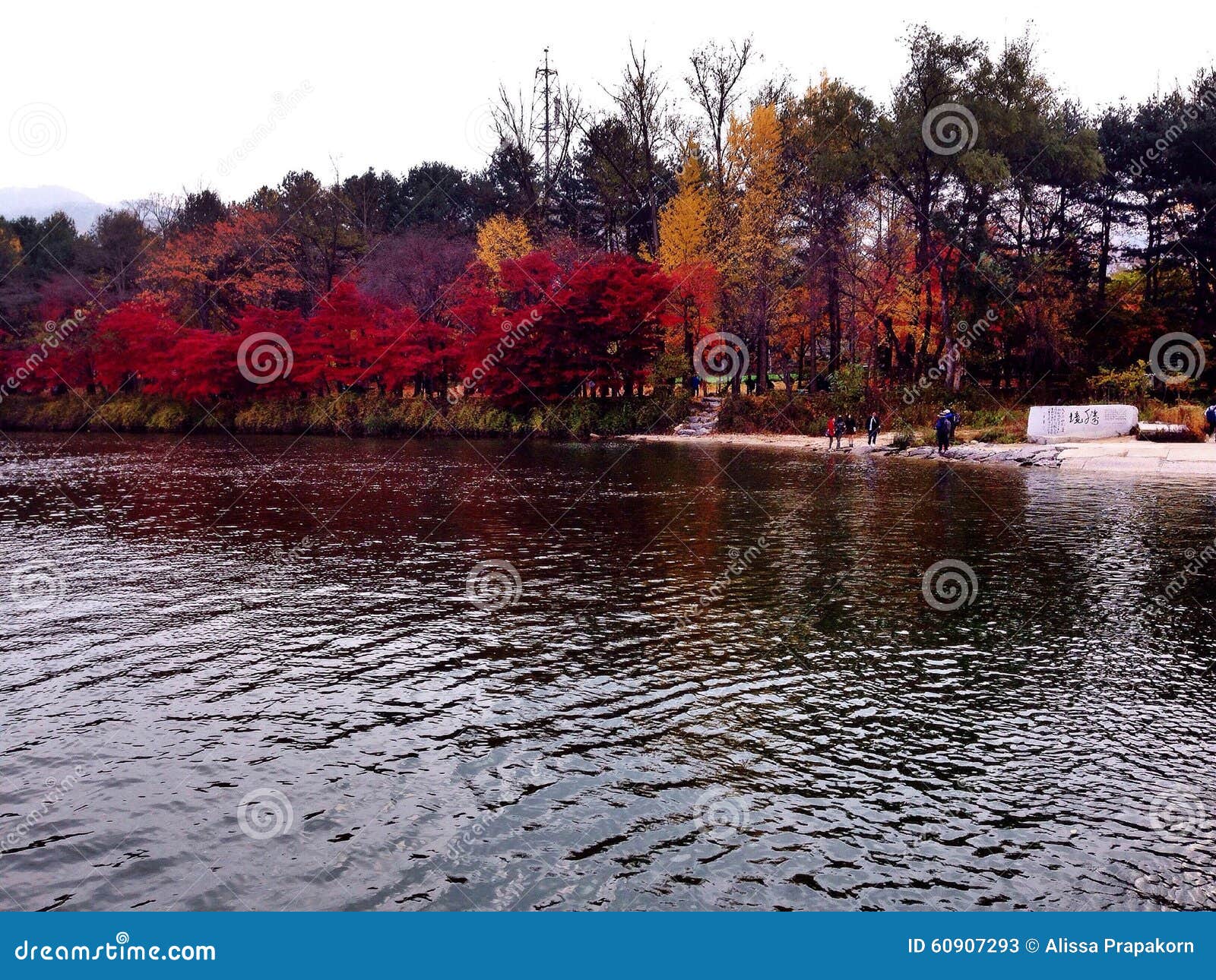Lake stock image. Image of spring, colors, autumn, lake - 60907293