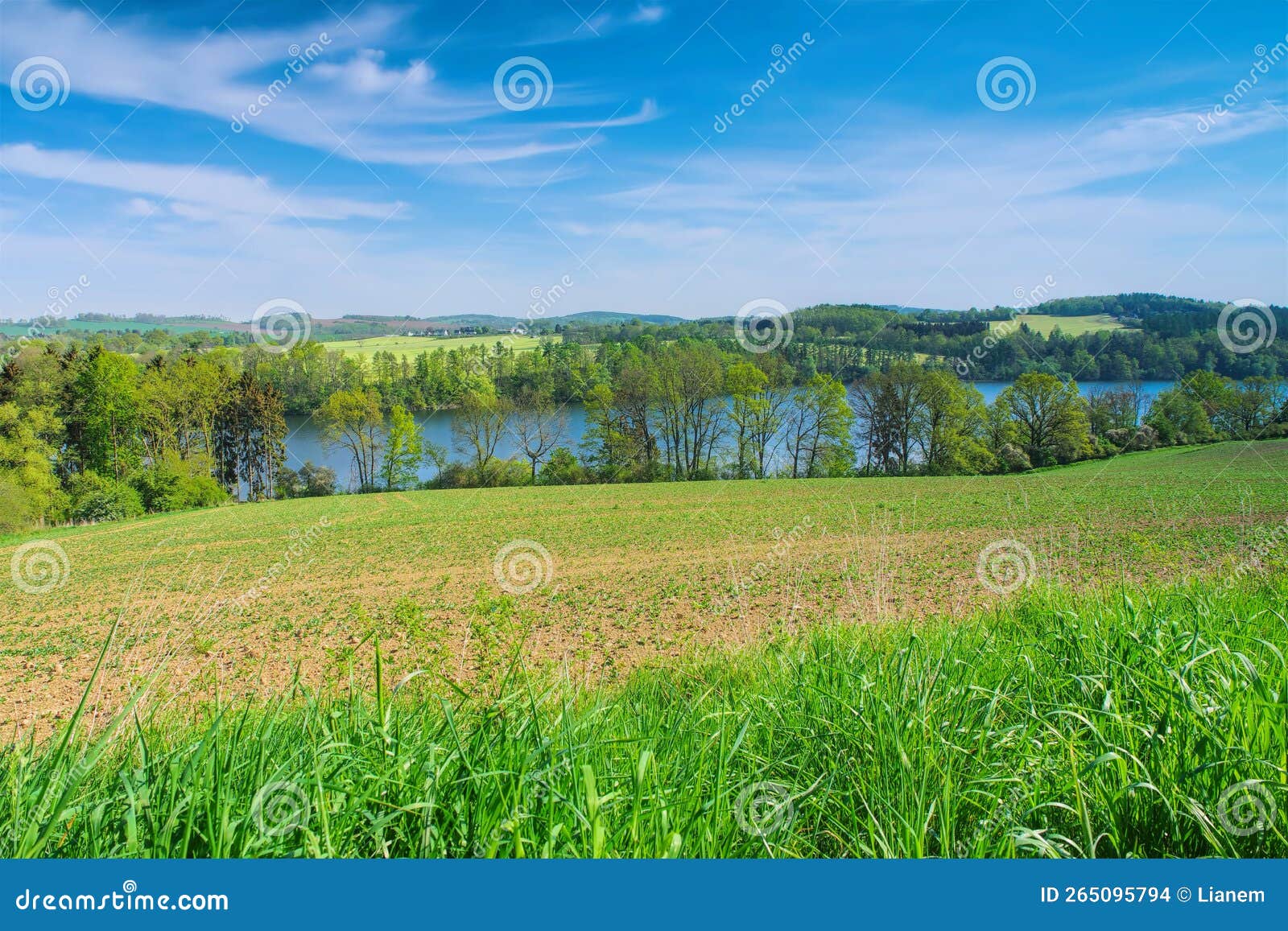 Pirk Stock Photos - Free & Royalty-Free Stock Photos from Dreamstime