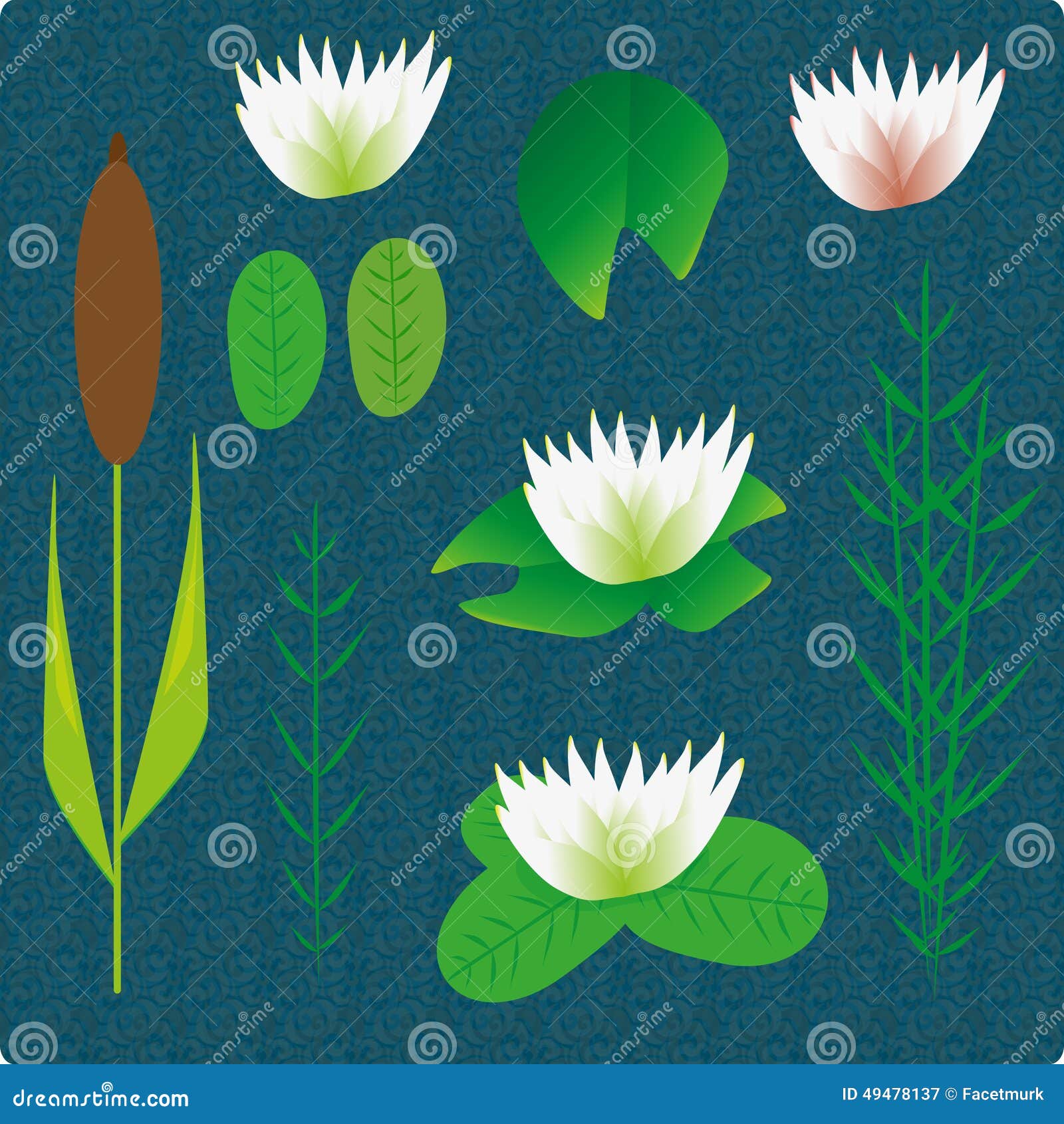 Lake Plants Illustration Cartoon Vector | CartoonDealer.com #49477943