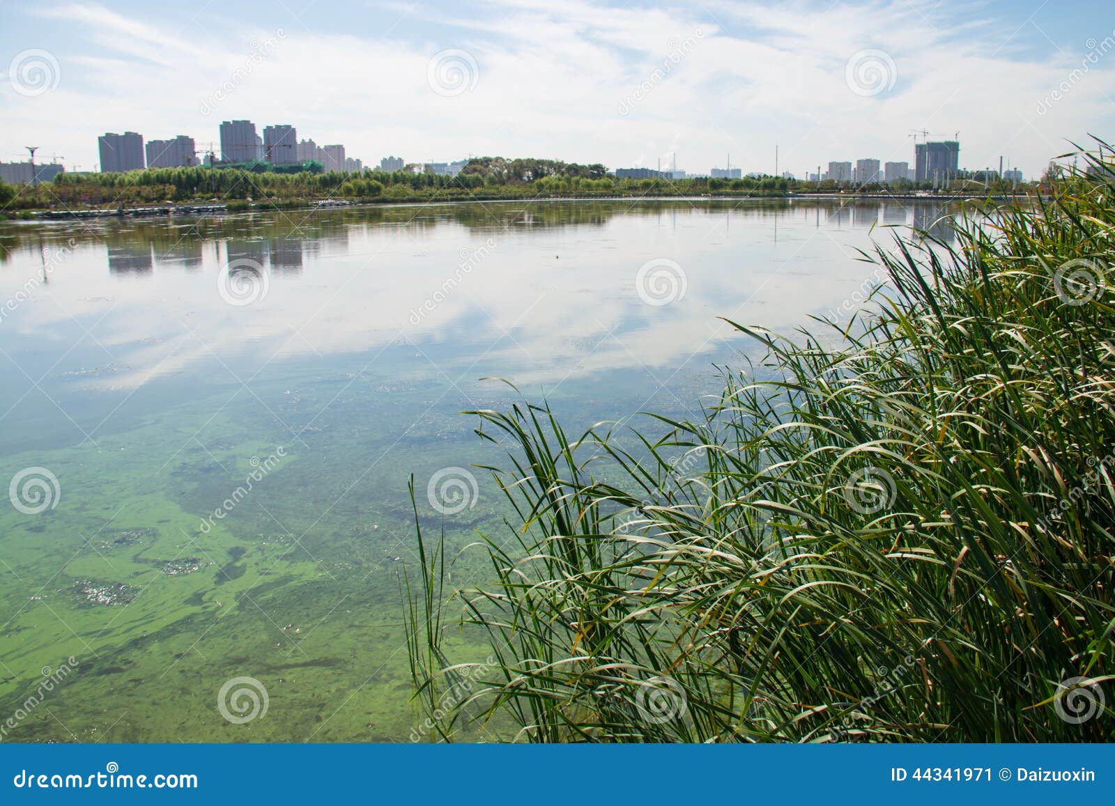 Lake Pollution stock image. Image of problems, pond, city - 44341971