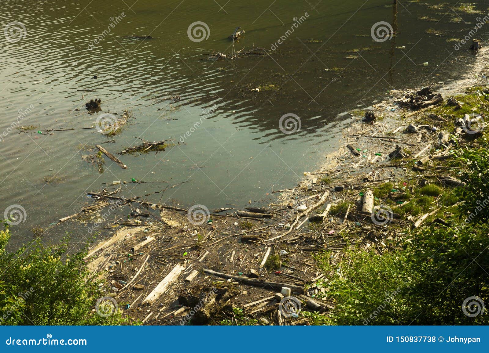 Lake pollution in nature stock photo. Image of container - 150837738
