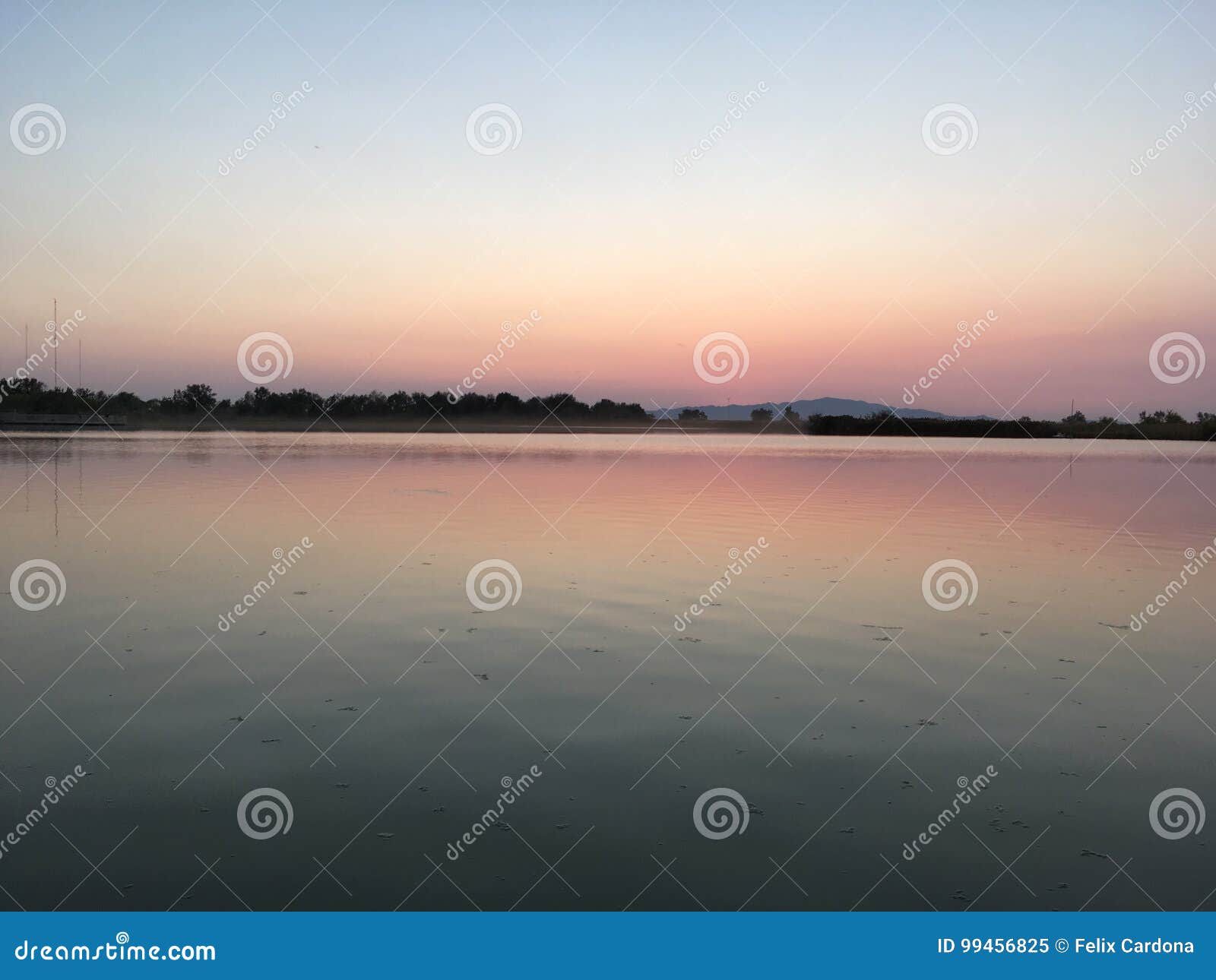 Bountiful pond stock image. Image of morning, water, sunset - 99456825