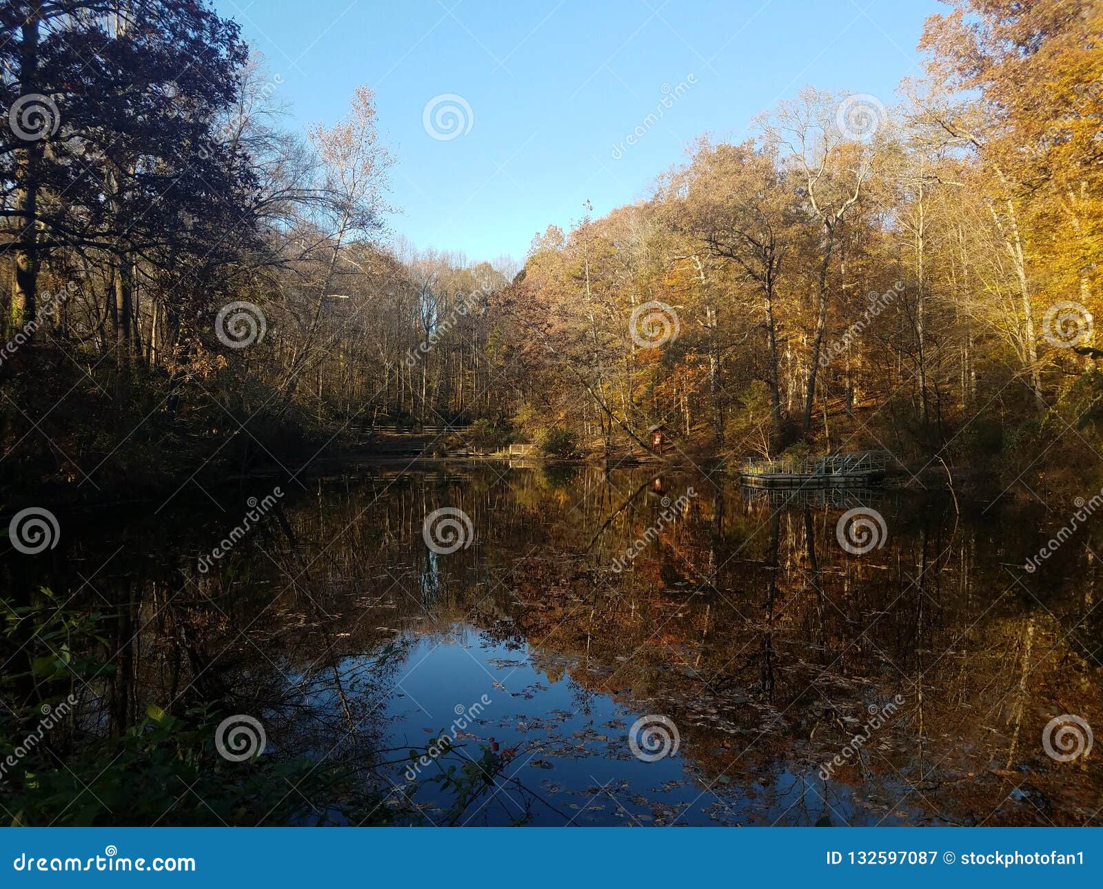 Lake or Pond with Dock and Trees and Reflections Stock Image - Image of ...