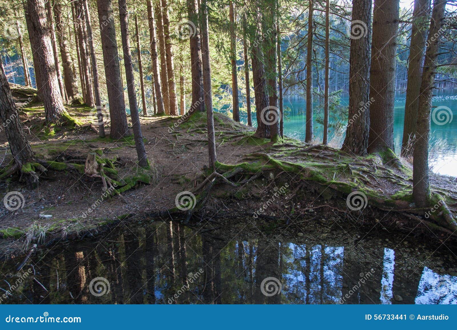 Lake in Preddvor stock image. Image of grass, vivid, country - 56733441