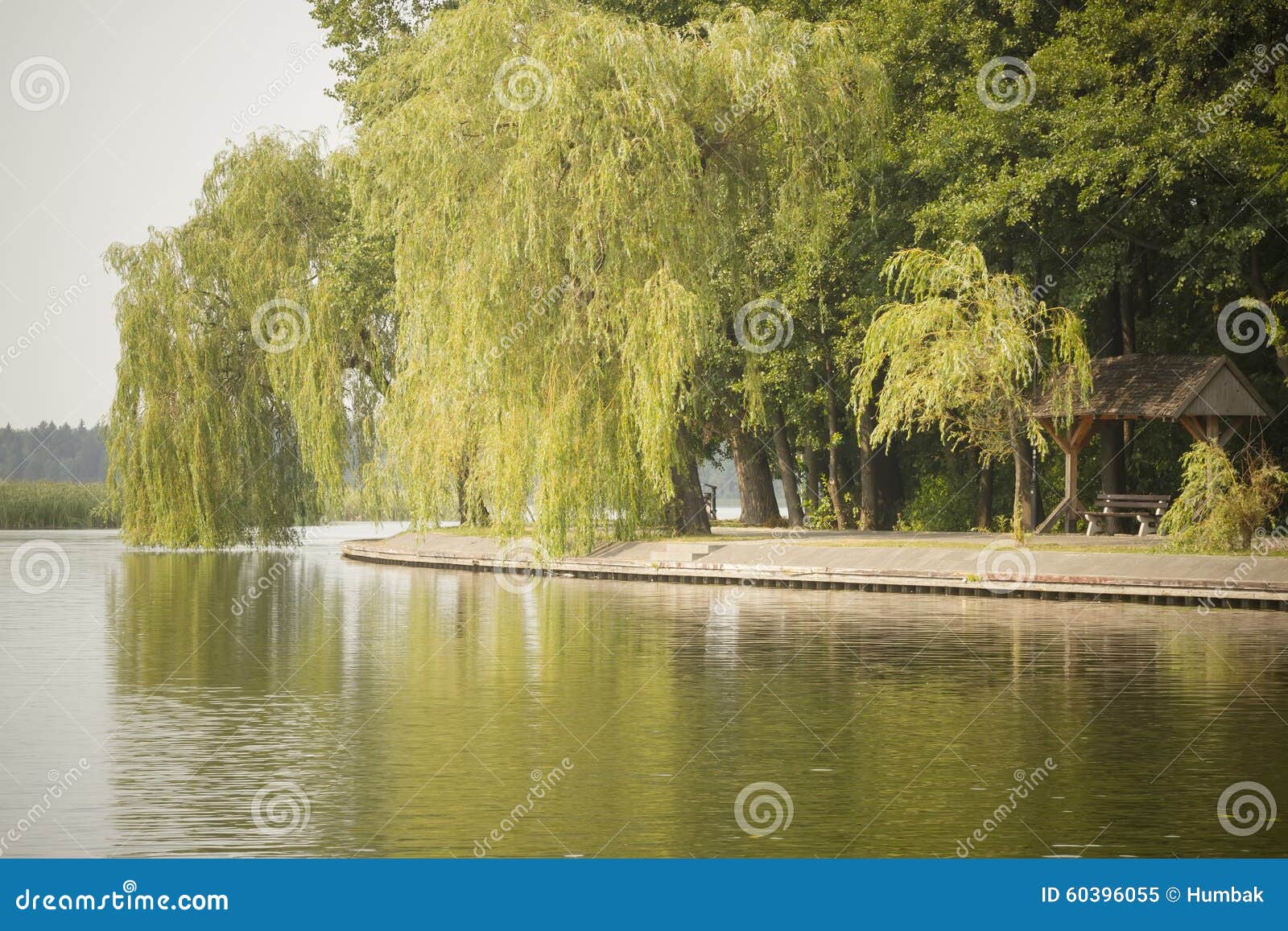Lake promenade stock image. Image of water, nature, beautiful - 60396055