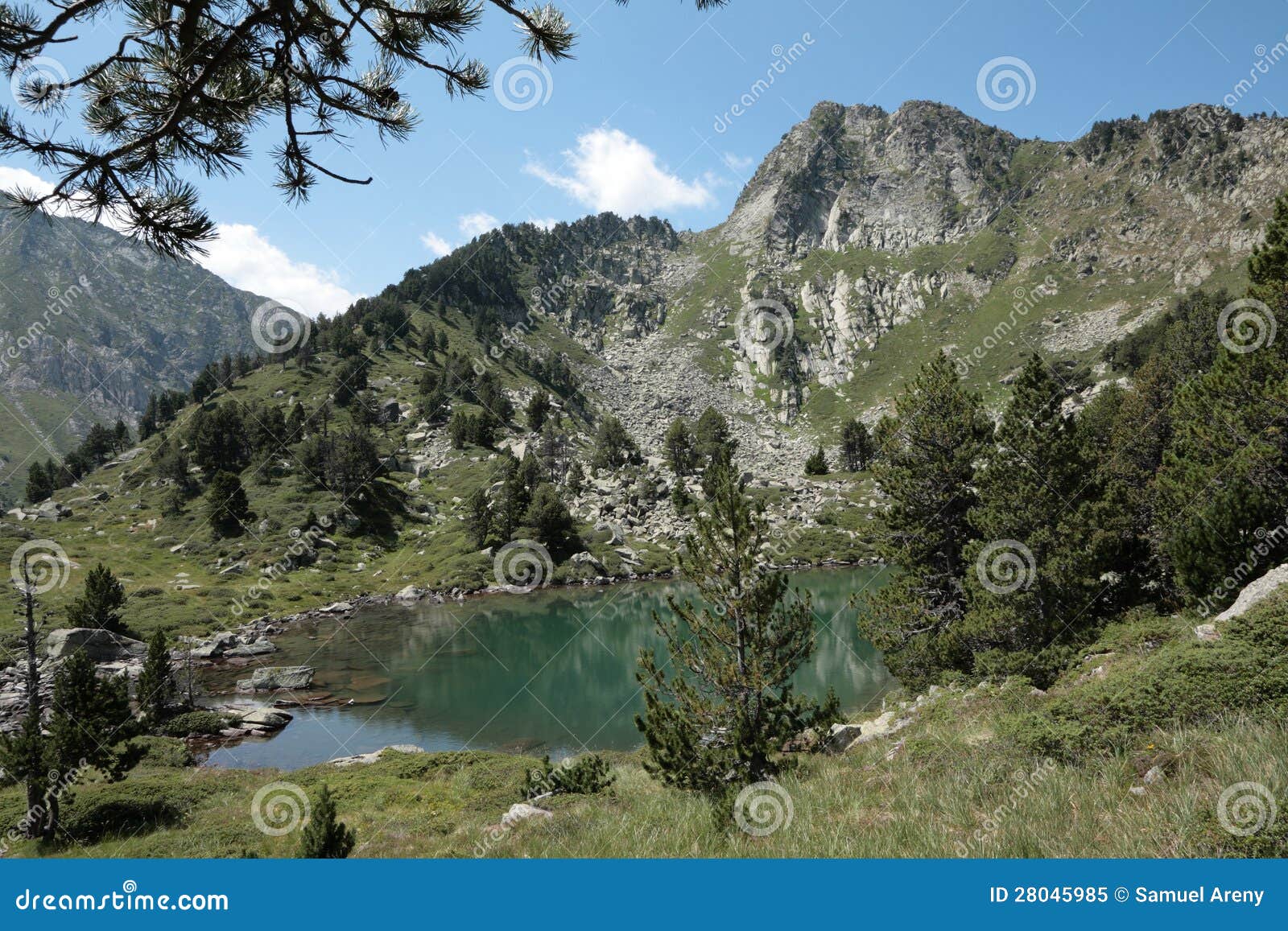 Lake in Pyrenees stock image. Image of mountain, pine - 28045985