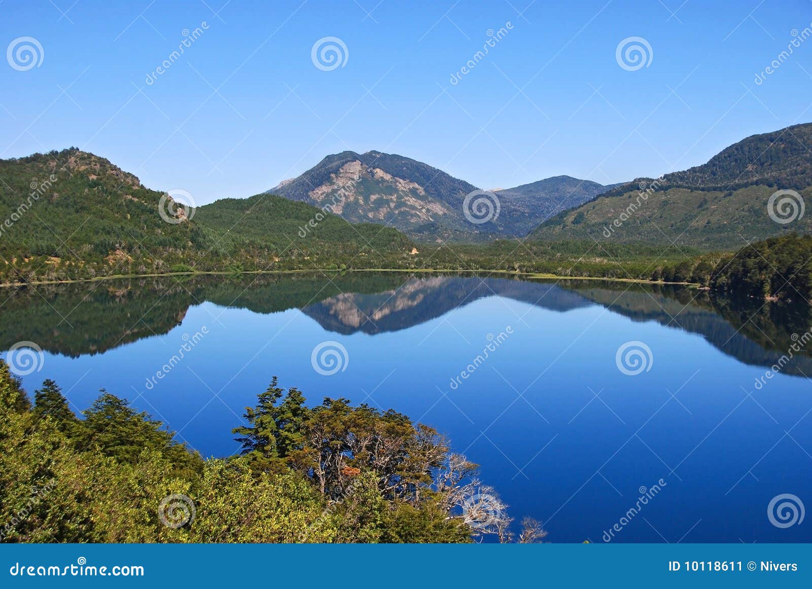 Lake reflection stock image. Image of environment, forest - 10118611